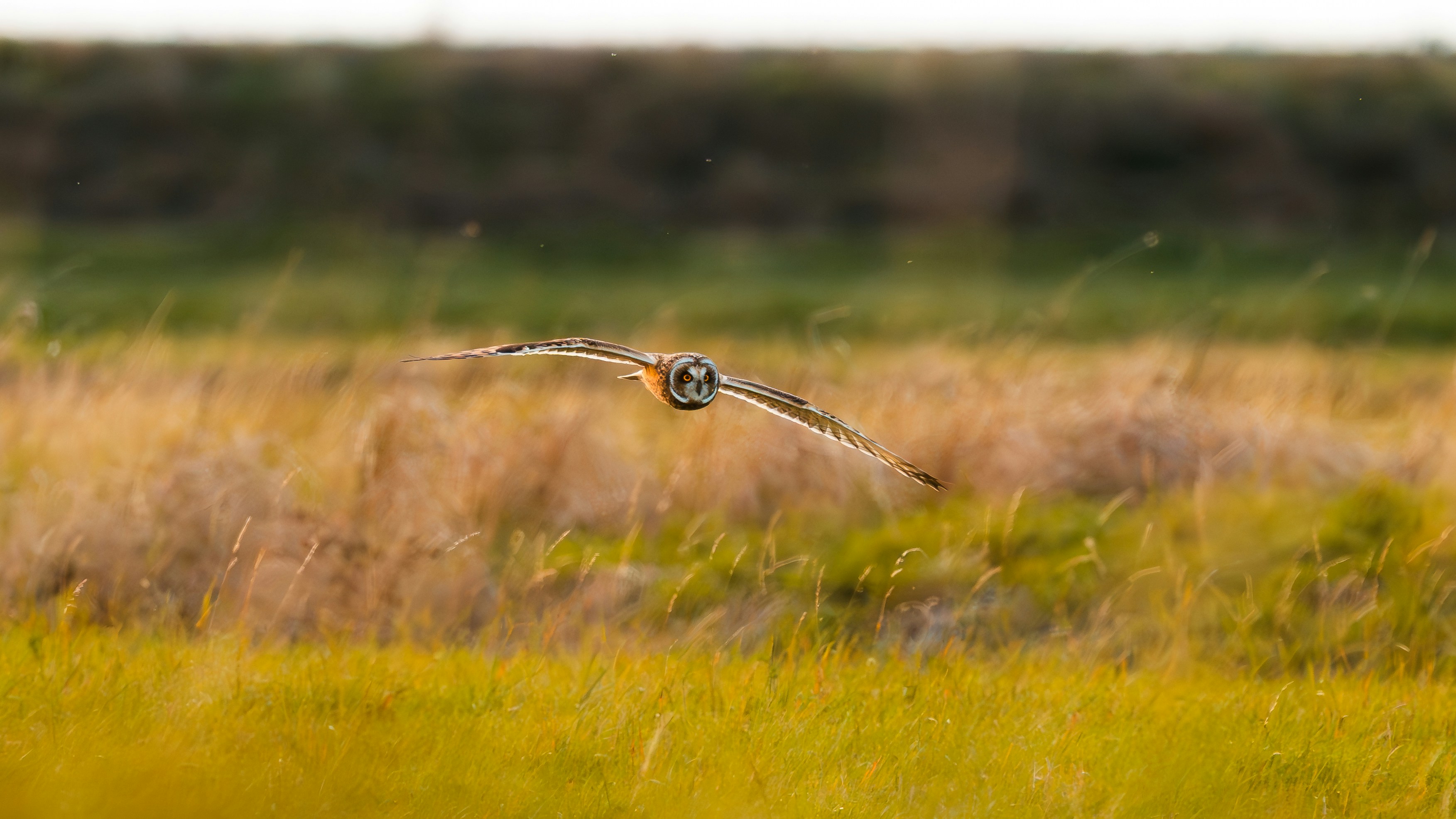 Photo by Thibault Mokuenko with Sony Alpha 7 IV