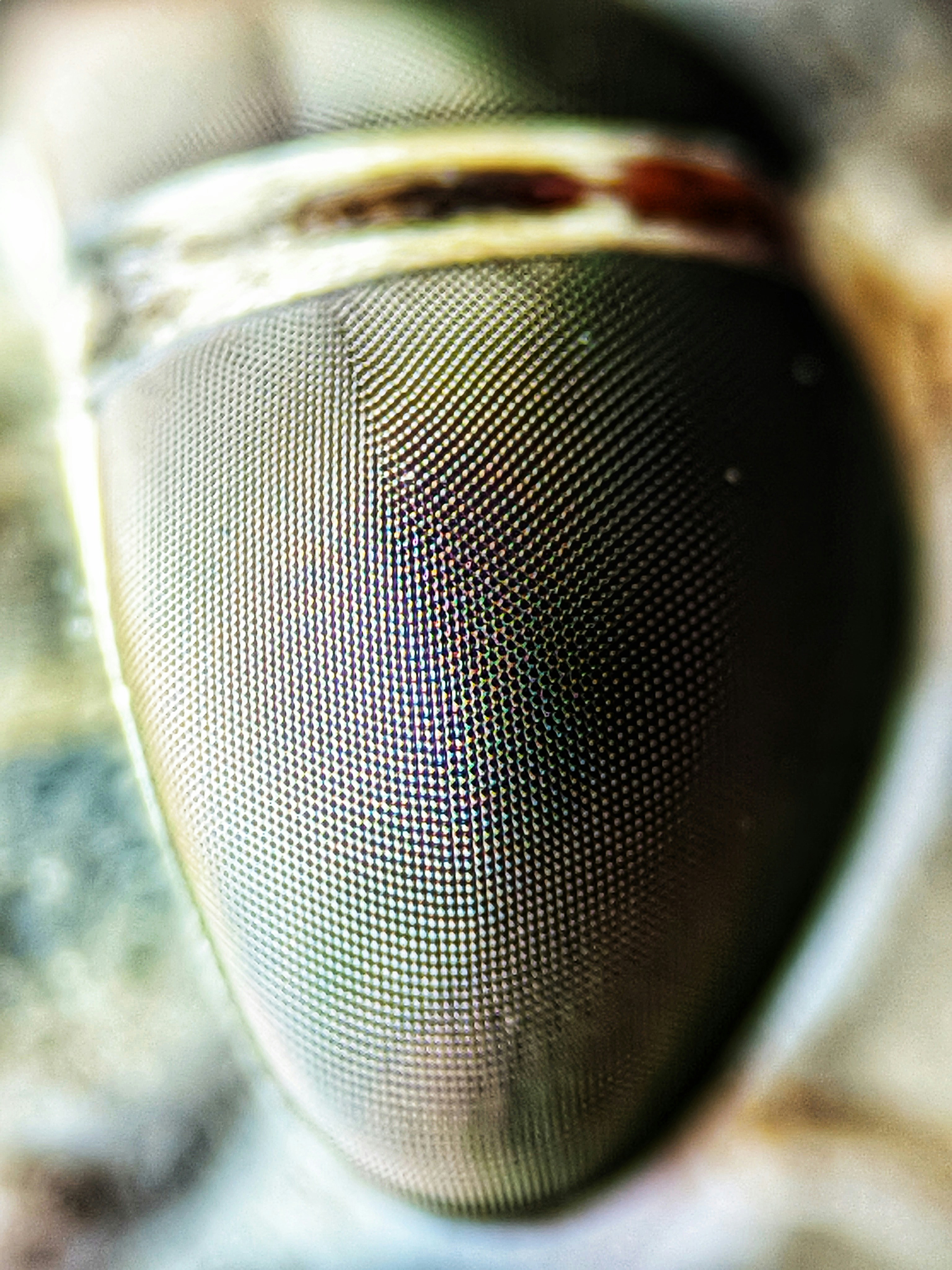 Extreme close-up of a compound insect eye