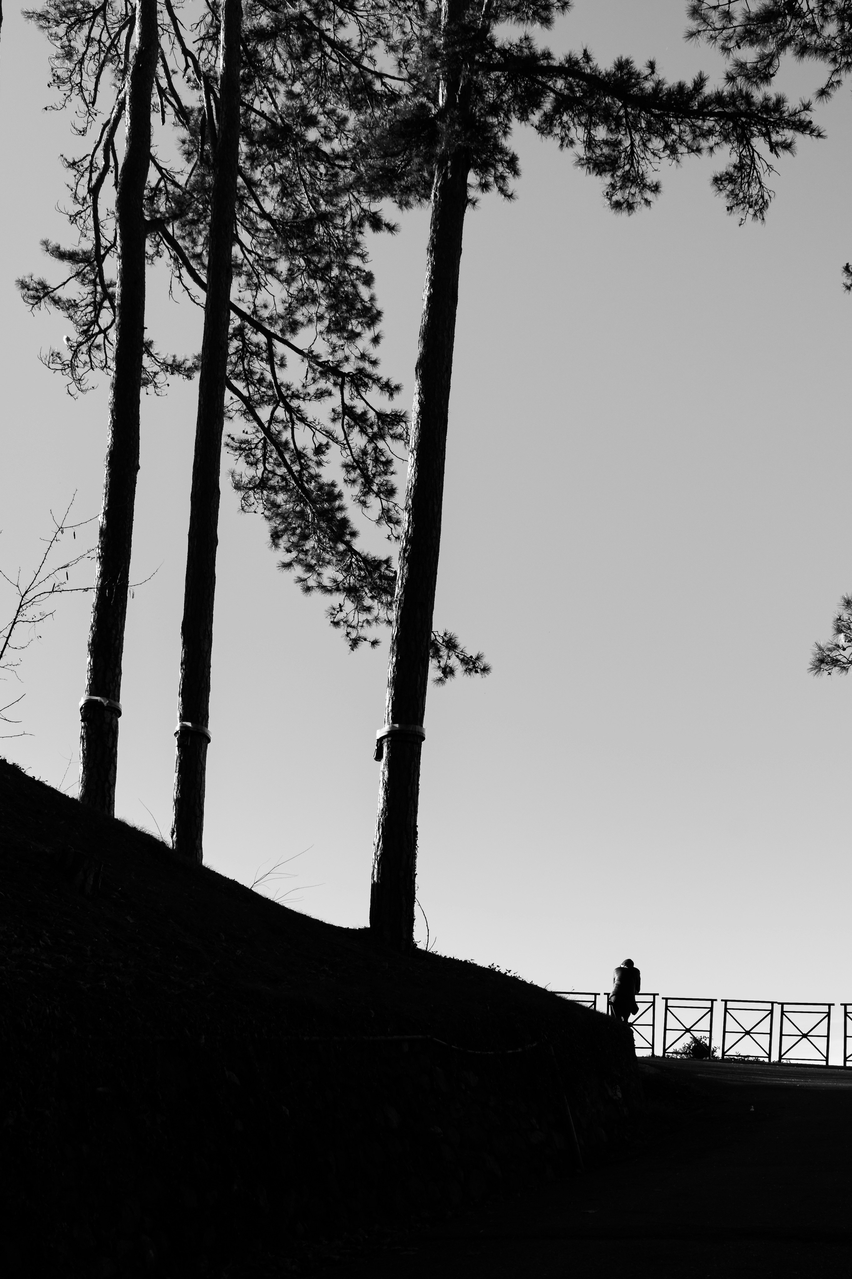 Silhouette Overlook: A Lone Figure by the Rail