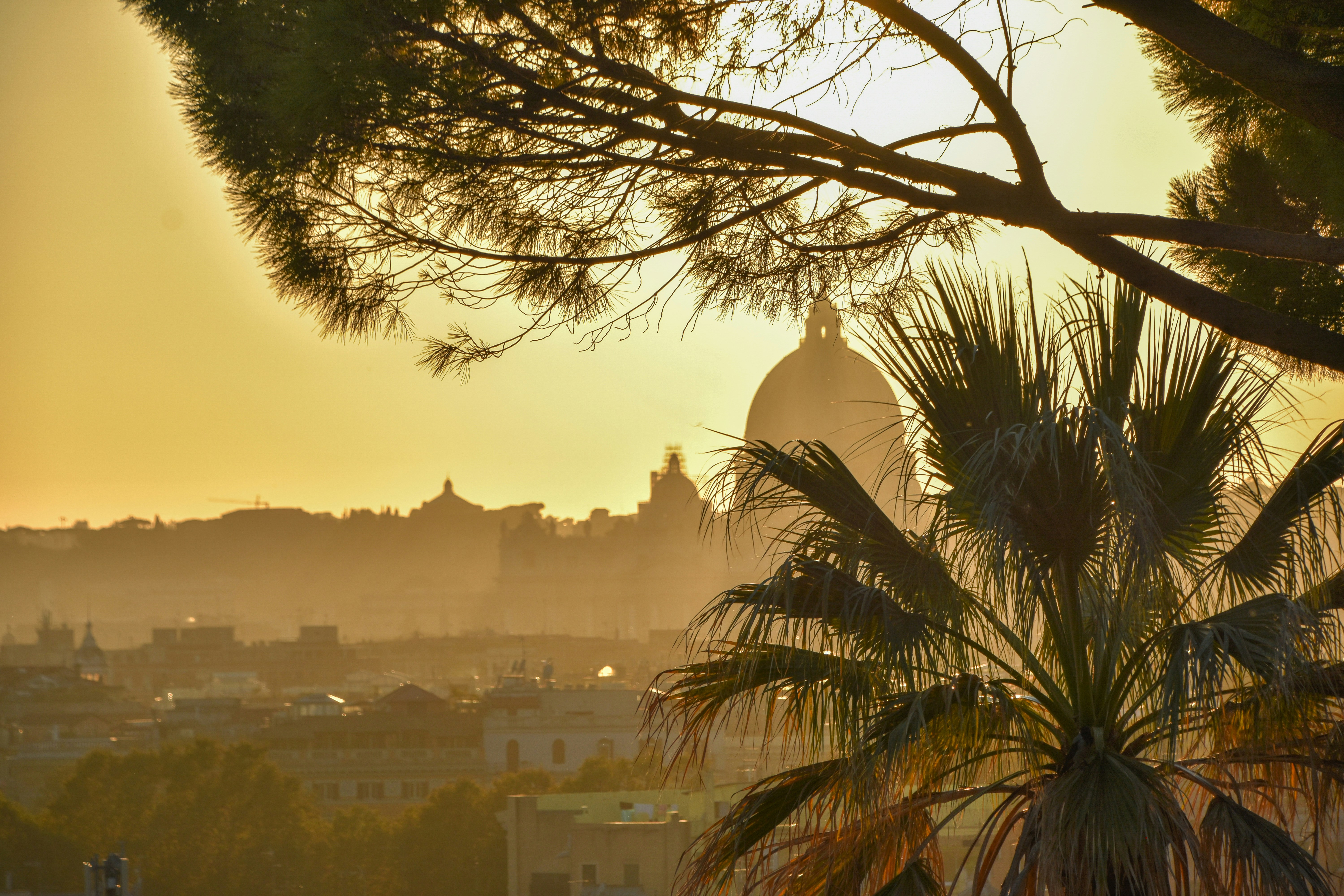 Silhouette of a Dome and Palm Fronds at Hazy Dusk