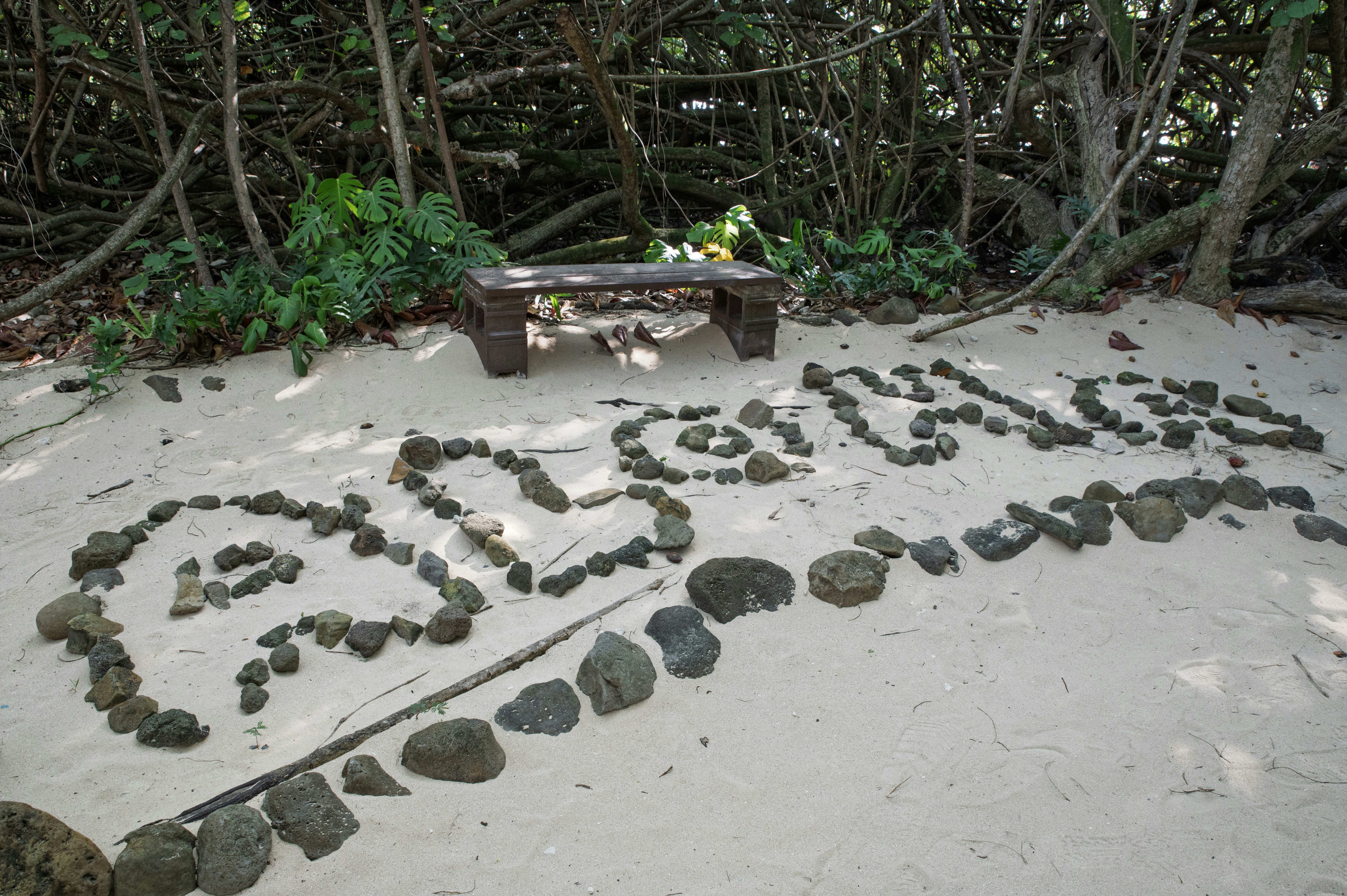 Stone Script by the Shore: A Quiet Bench Among Coral Sand