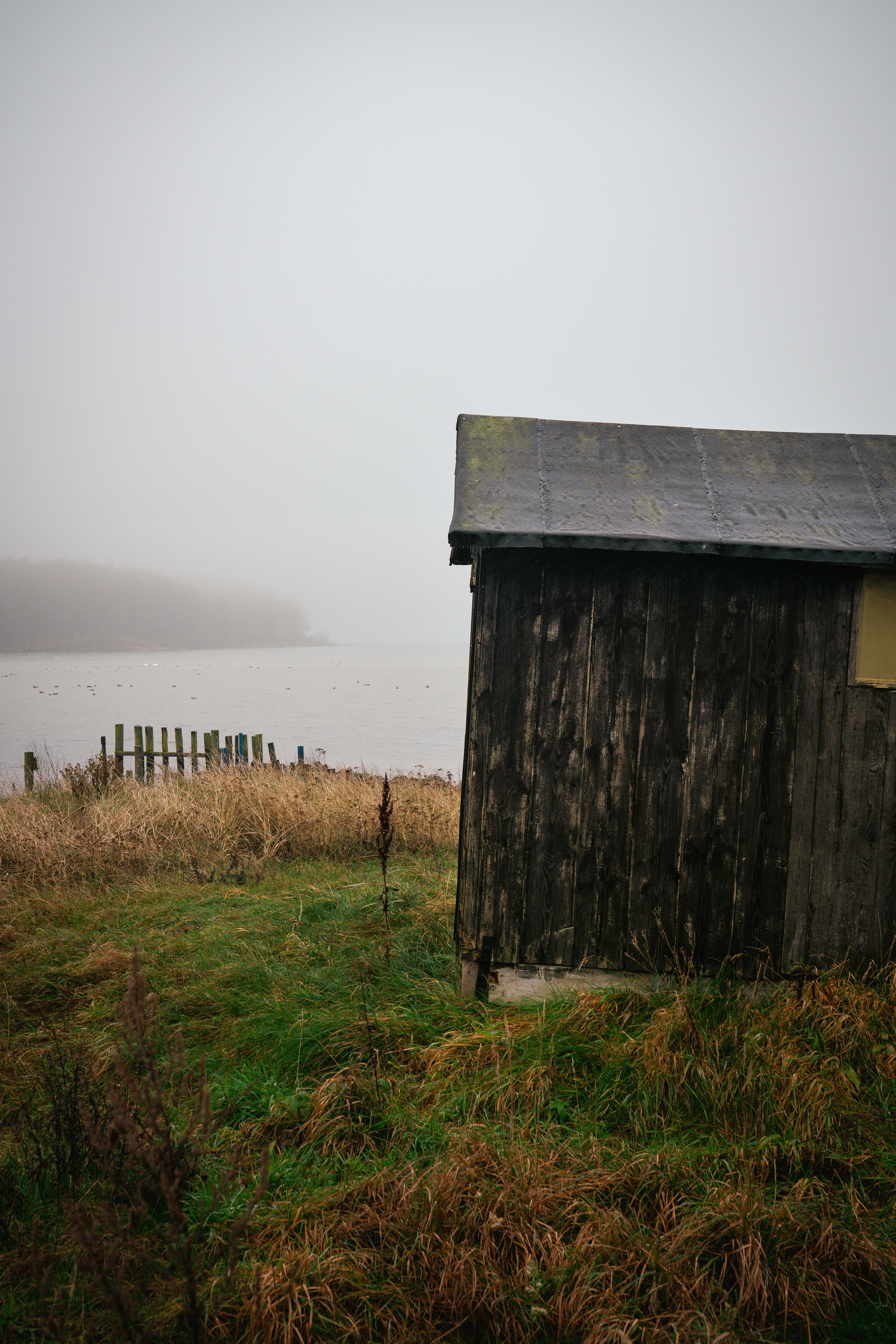 Weathered Shoreline Shack by Misty Flats