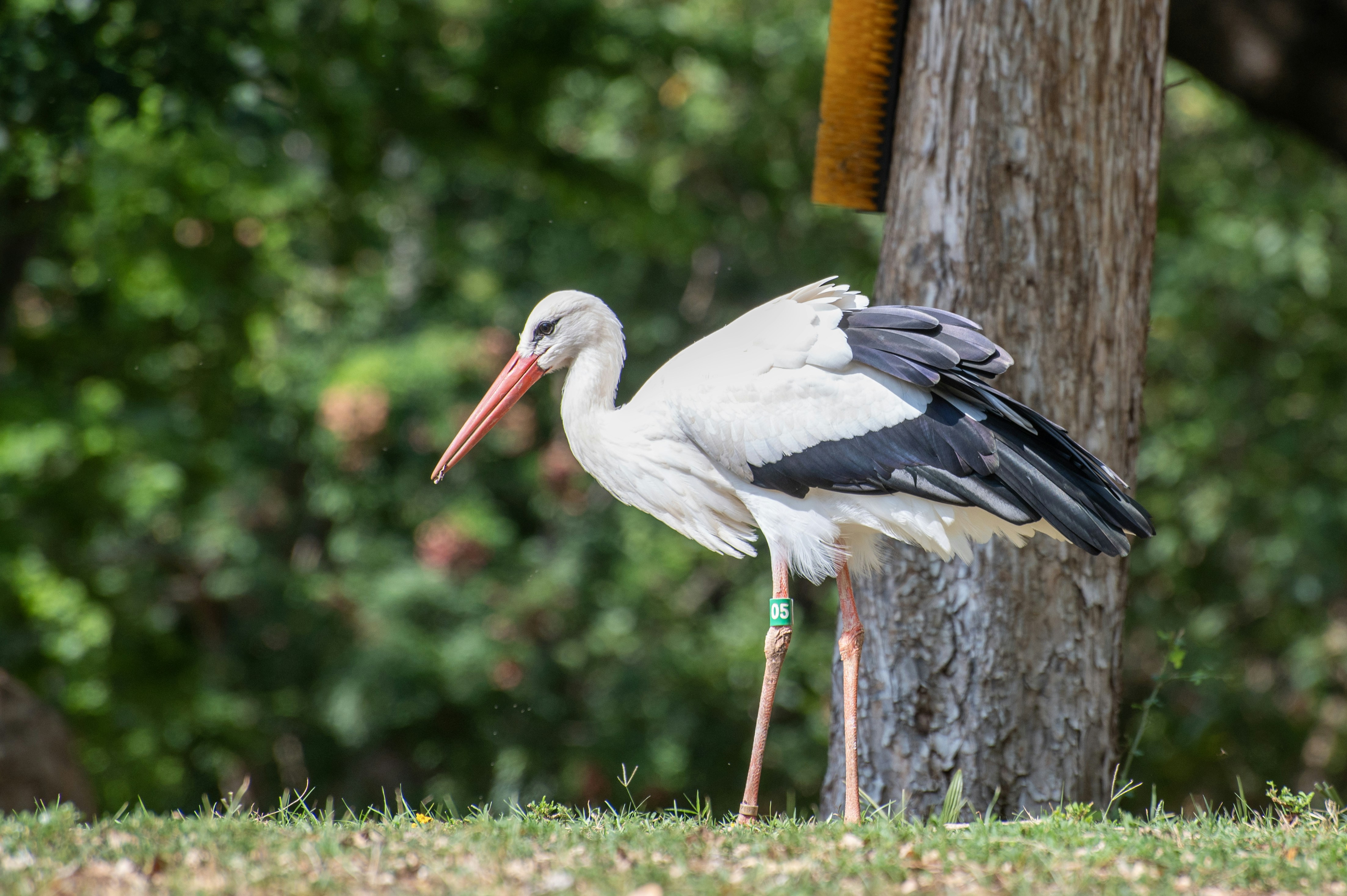 Photo by Trac Vu with Nikon D780