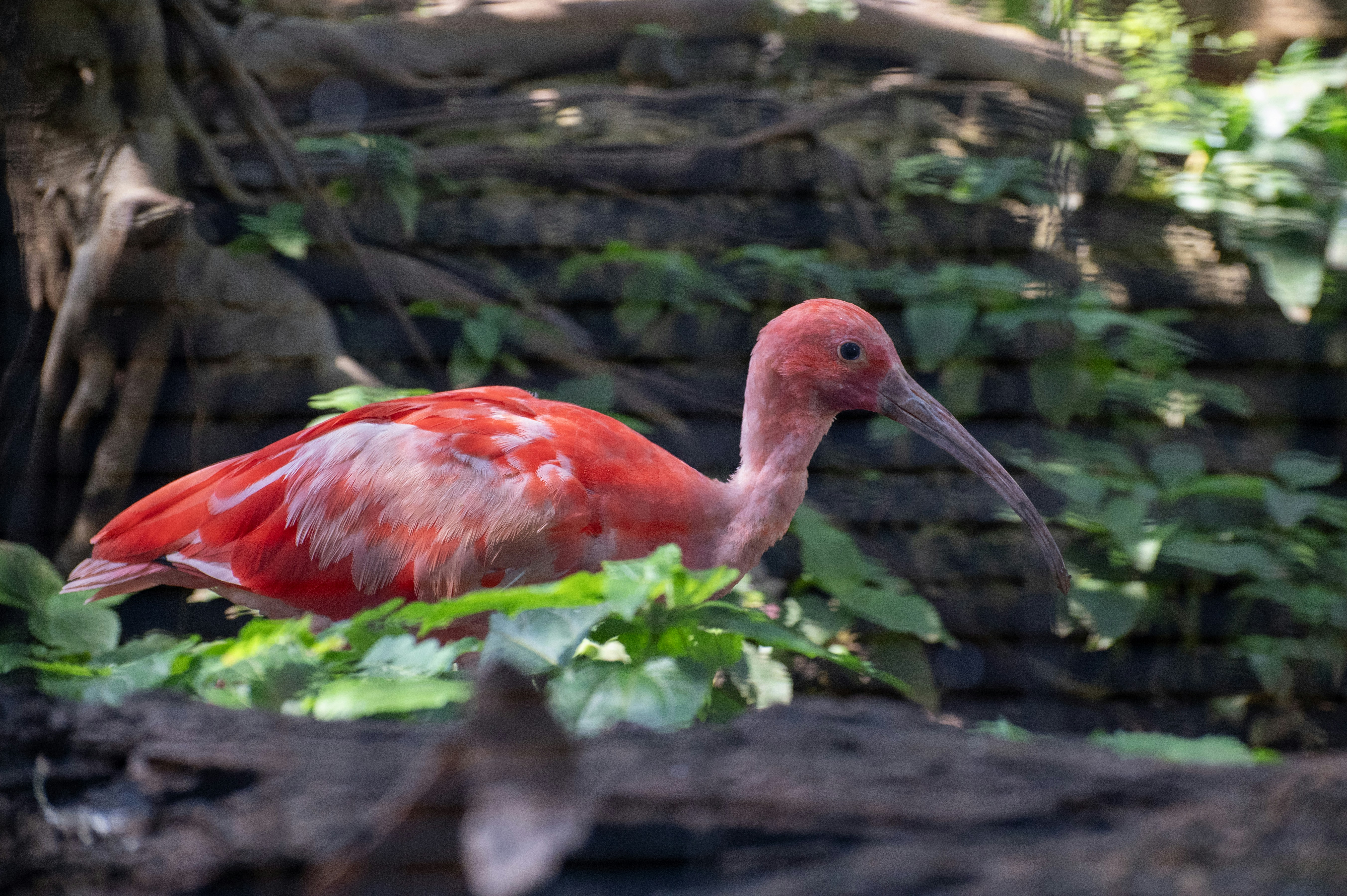 Photo by Trac Vu with Nikon D780