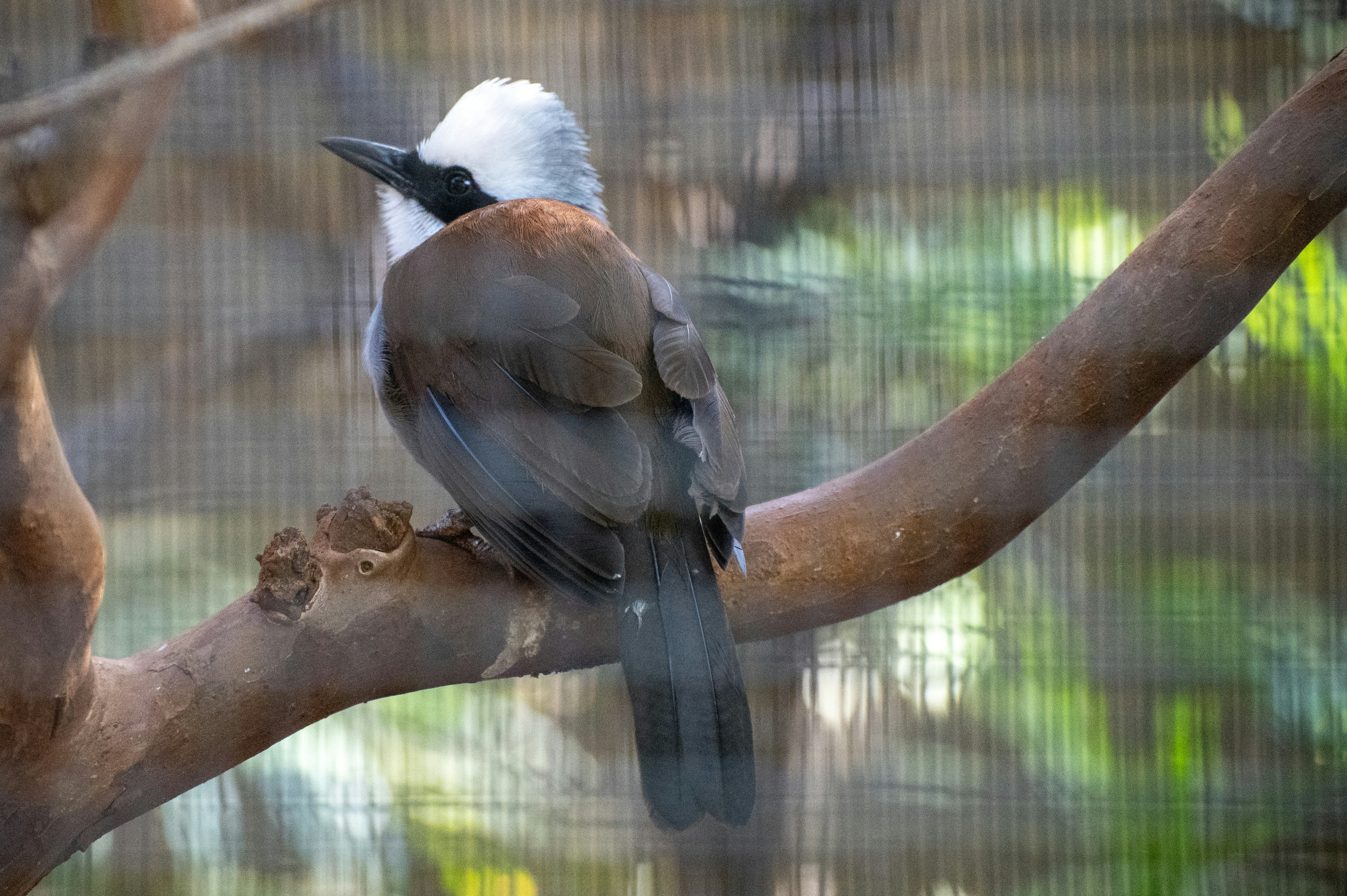 Photo by Trac Vu with Nikon D780