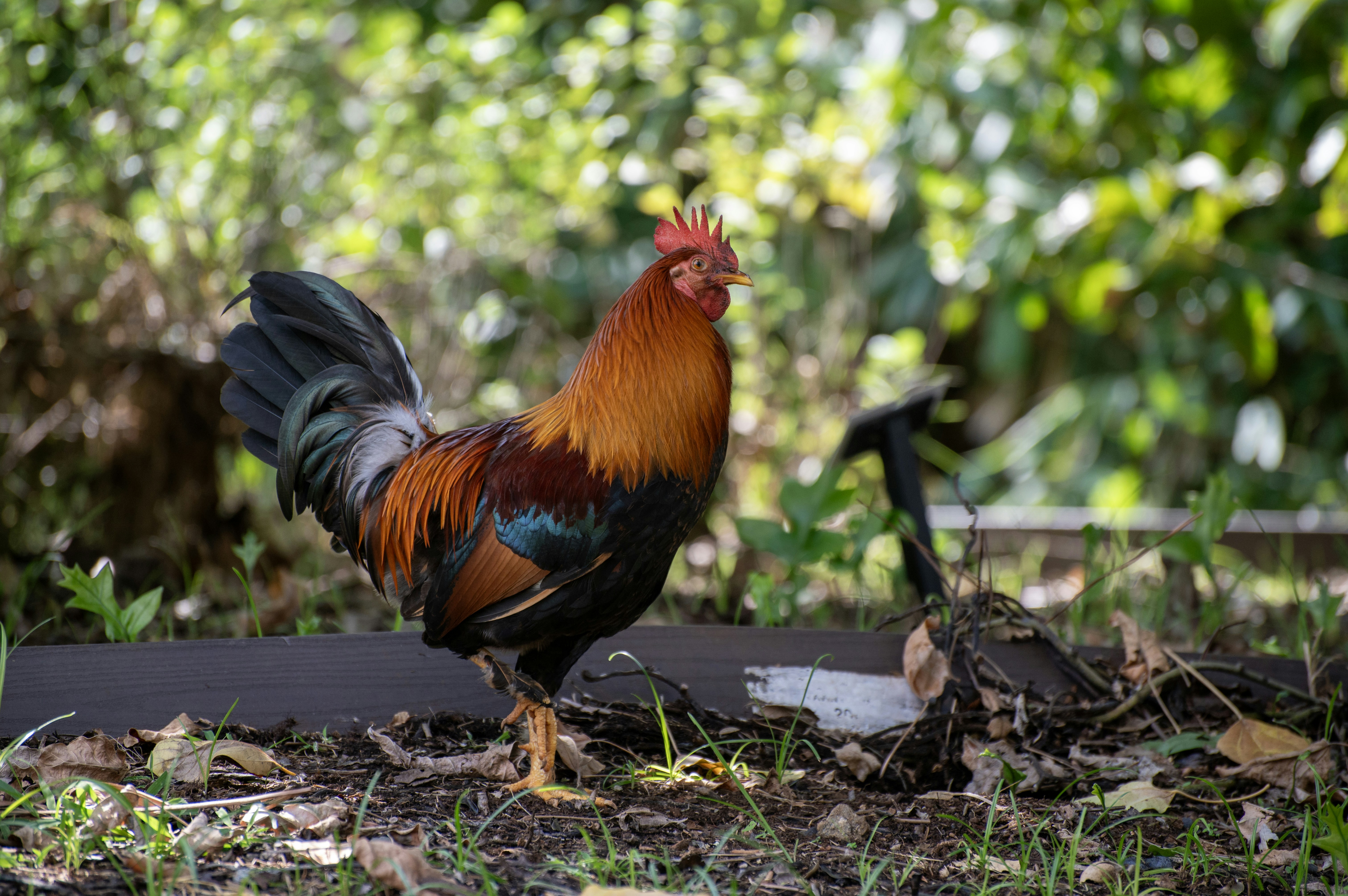 Photo by Trac Vu with Nikon D780