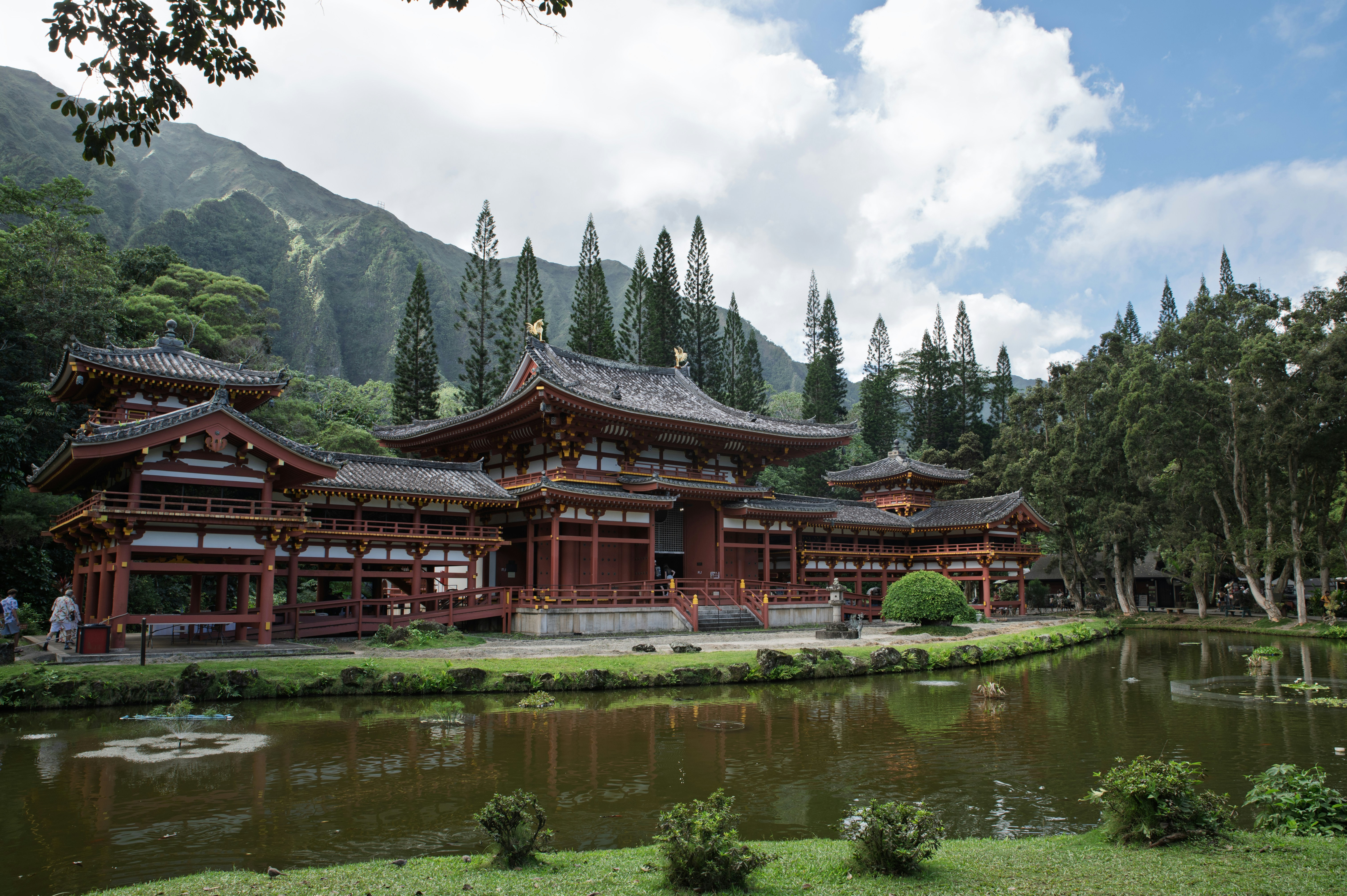 Photo by Trac Vu with Nikon D780