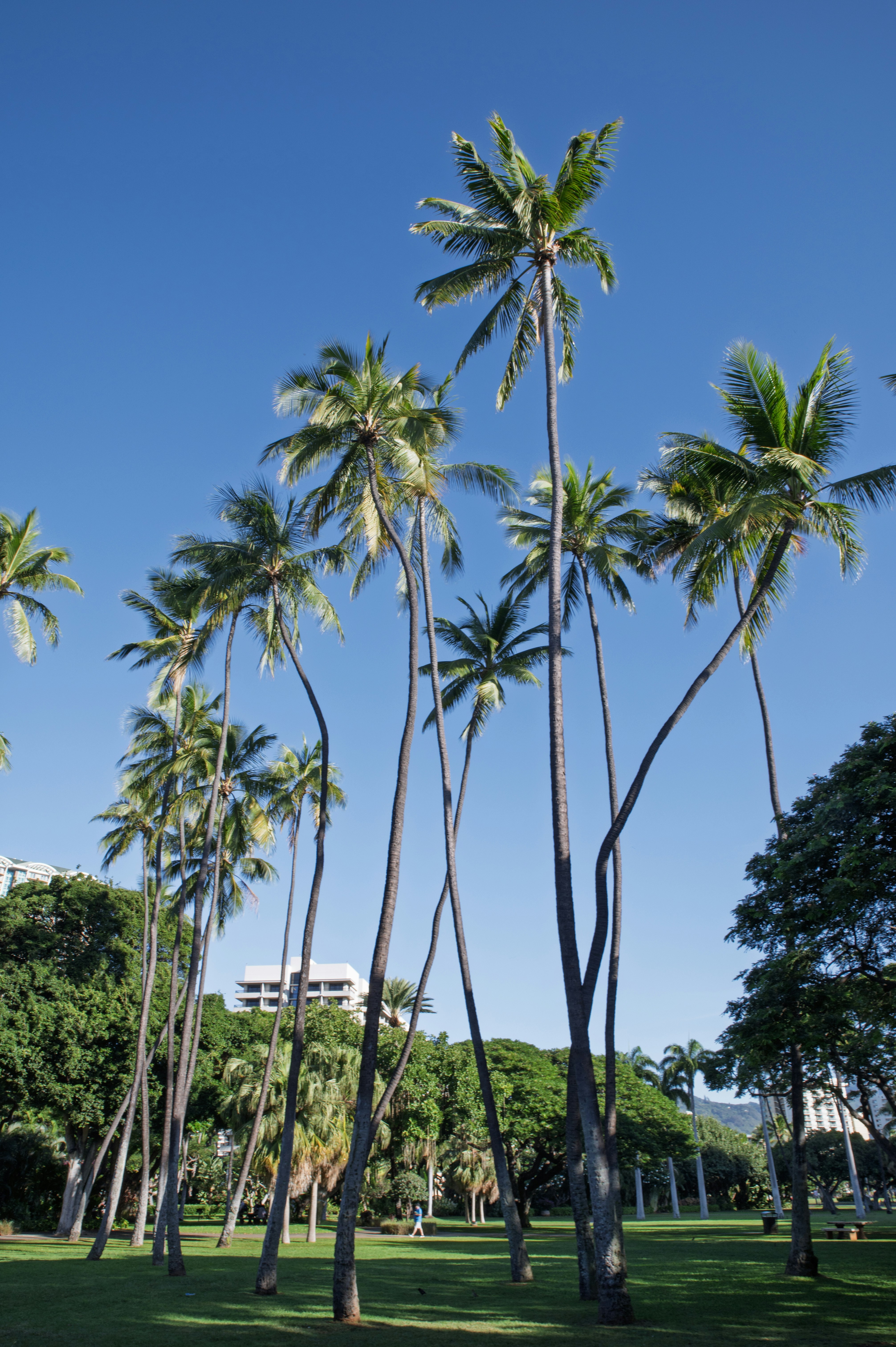 Photo by Trac Vu with Nikon D780