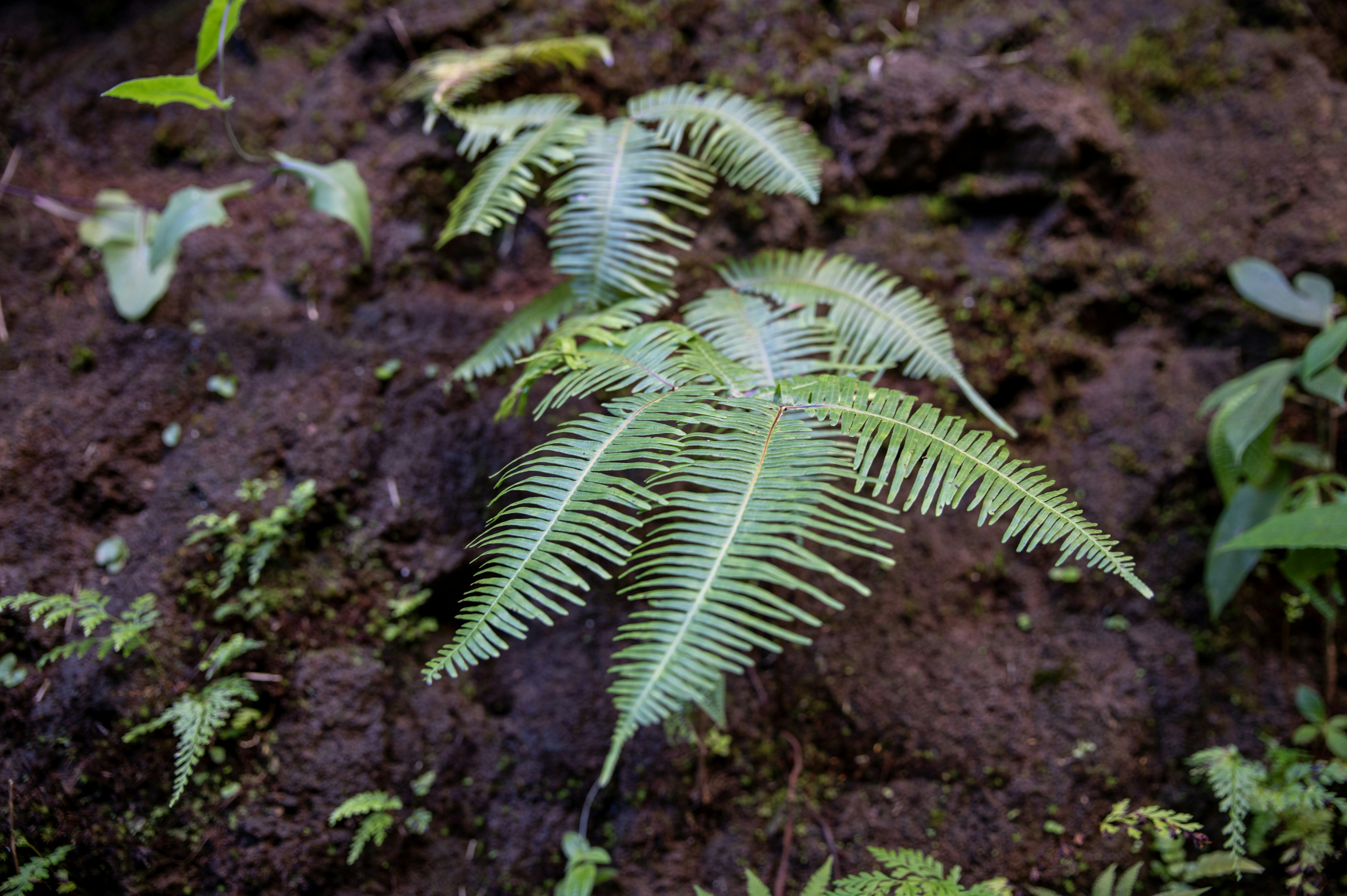 Photo by Trac Vu with Nikon D780