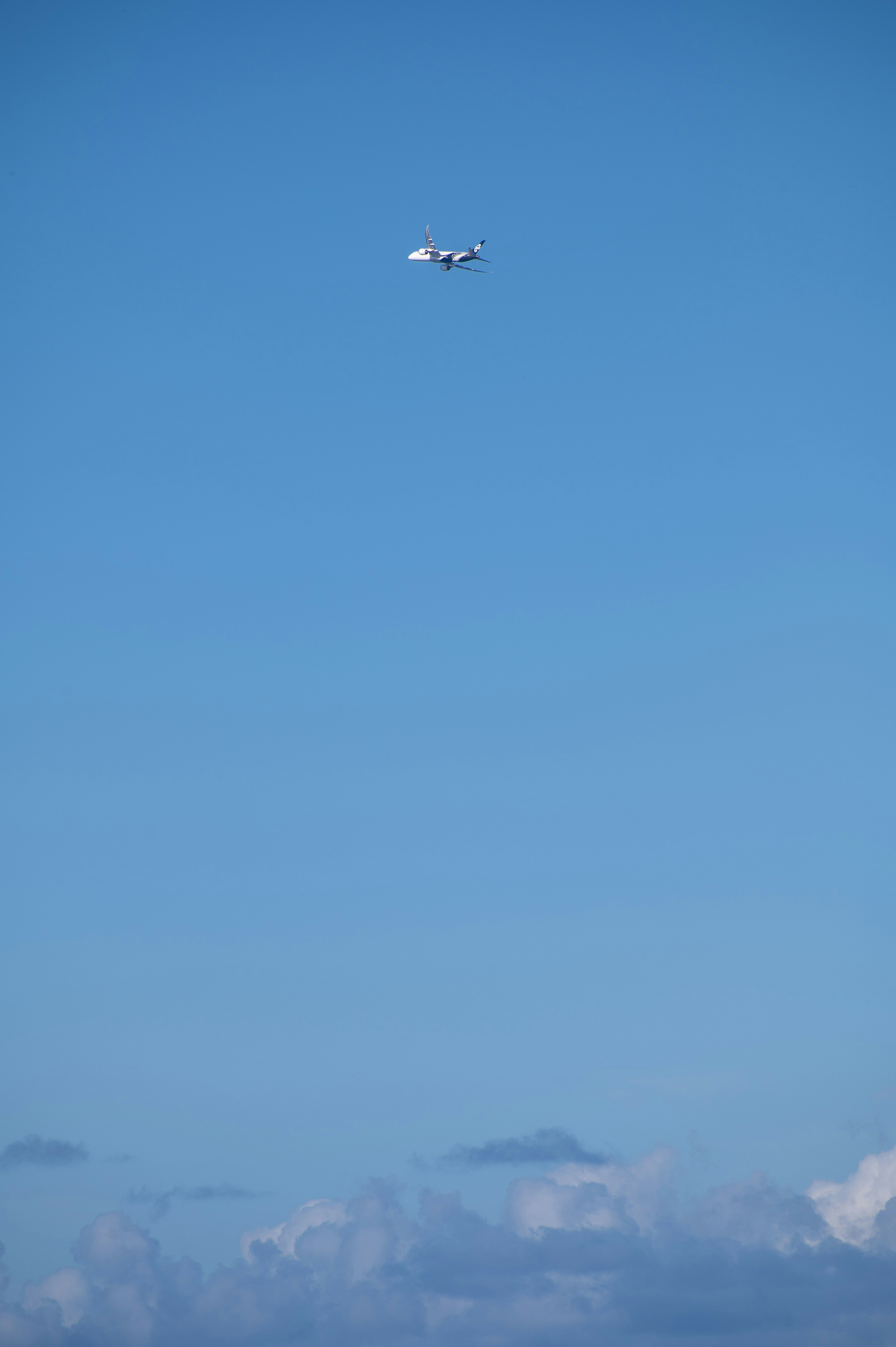 Photo by Trac Vu with Nikon D780