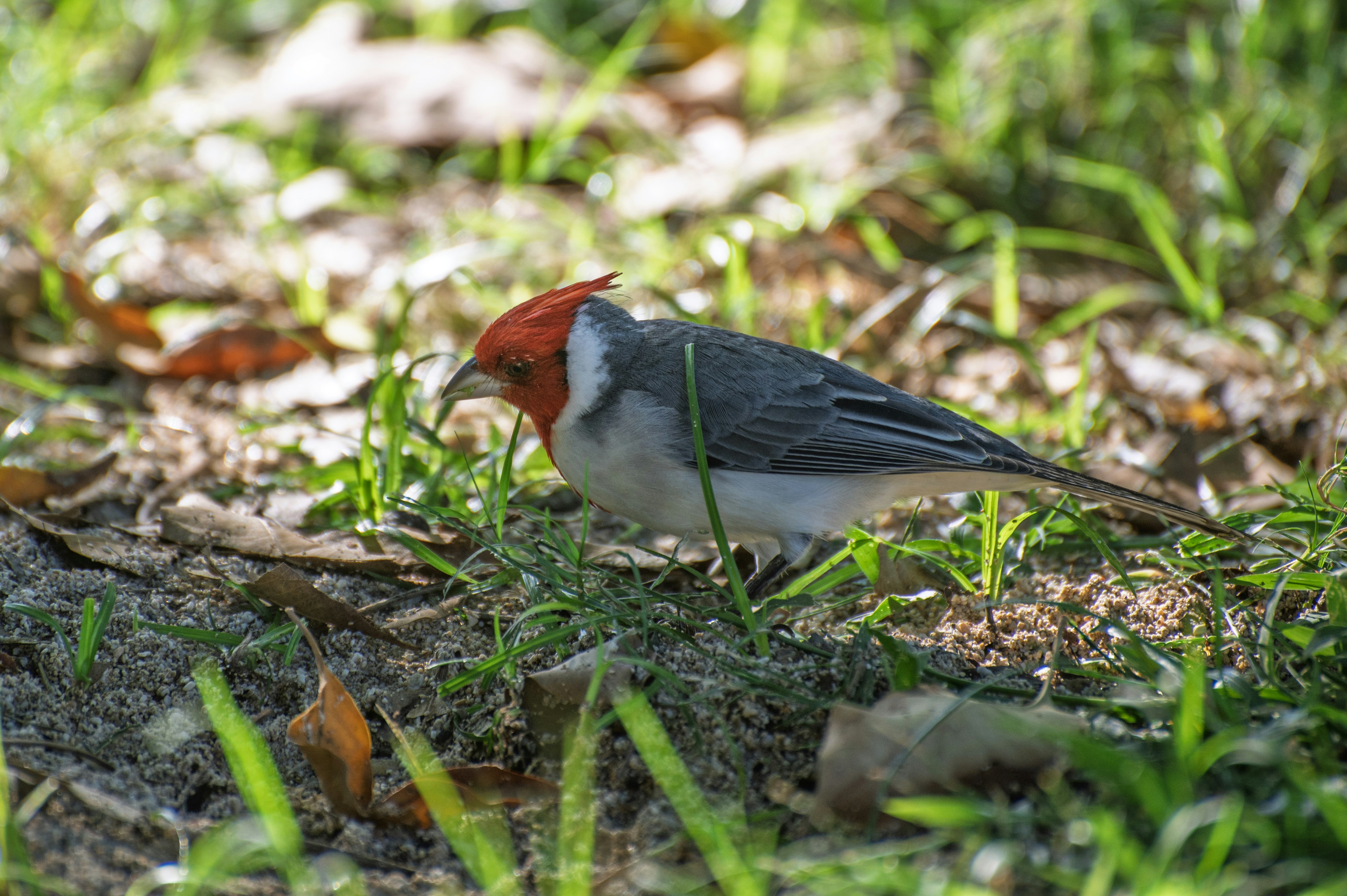 Photo by Trac Vu with Nikon D780