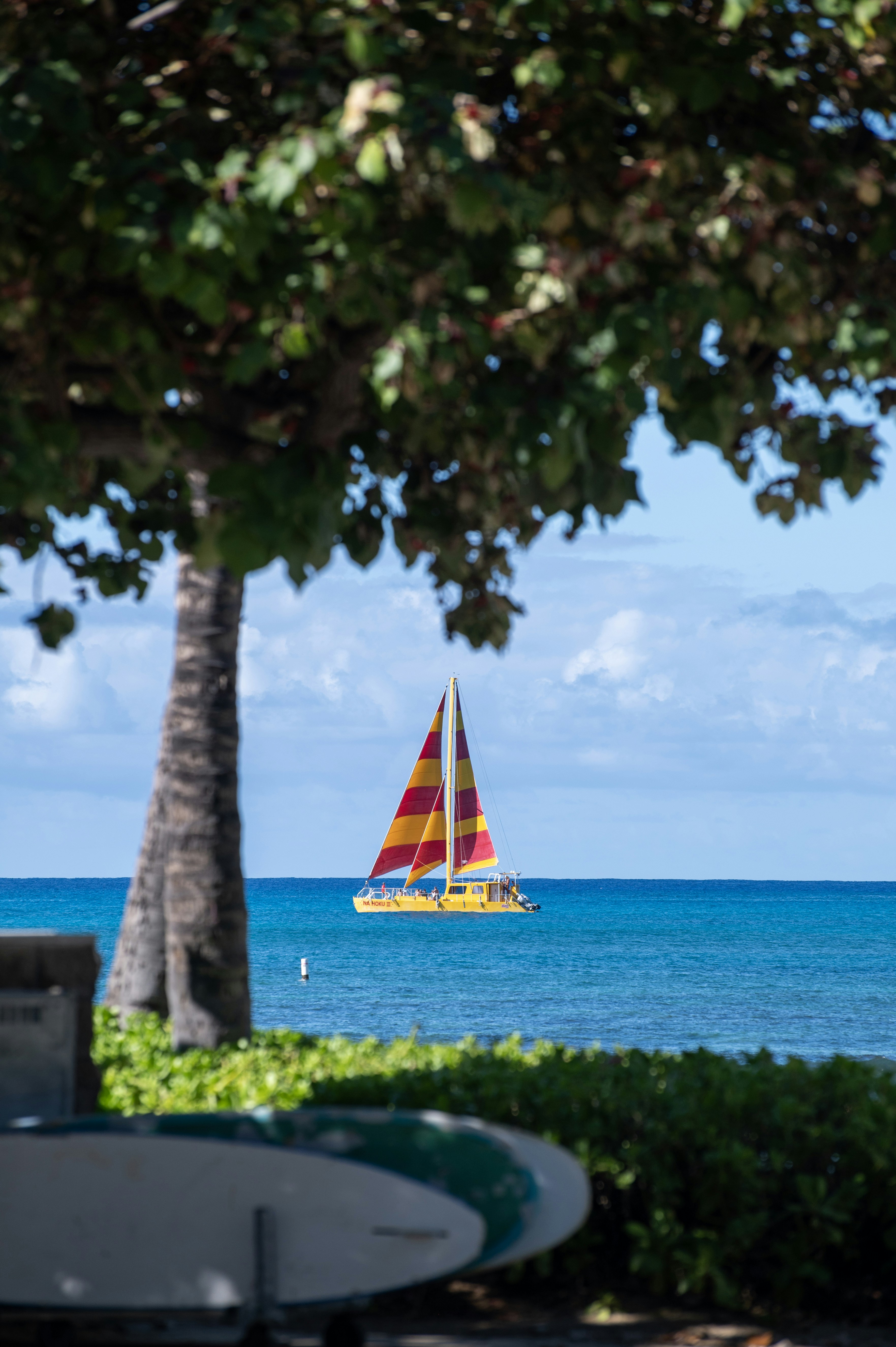 Colorful sailboat gliding beyond the shade-arched seaside foreground