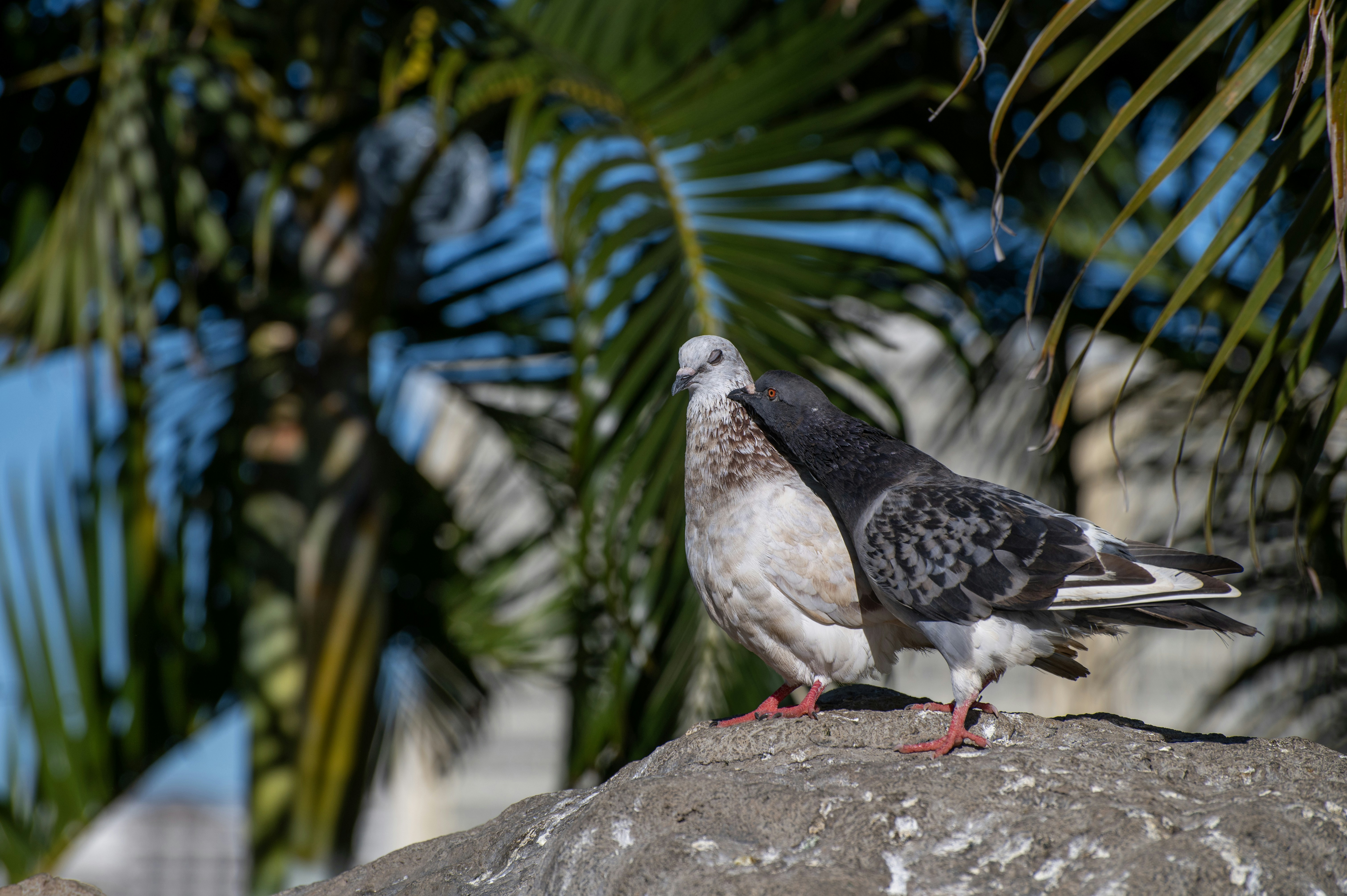 Photo by Trac Vu with Nikon D780