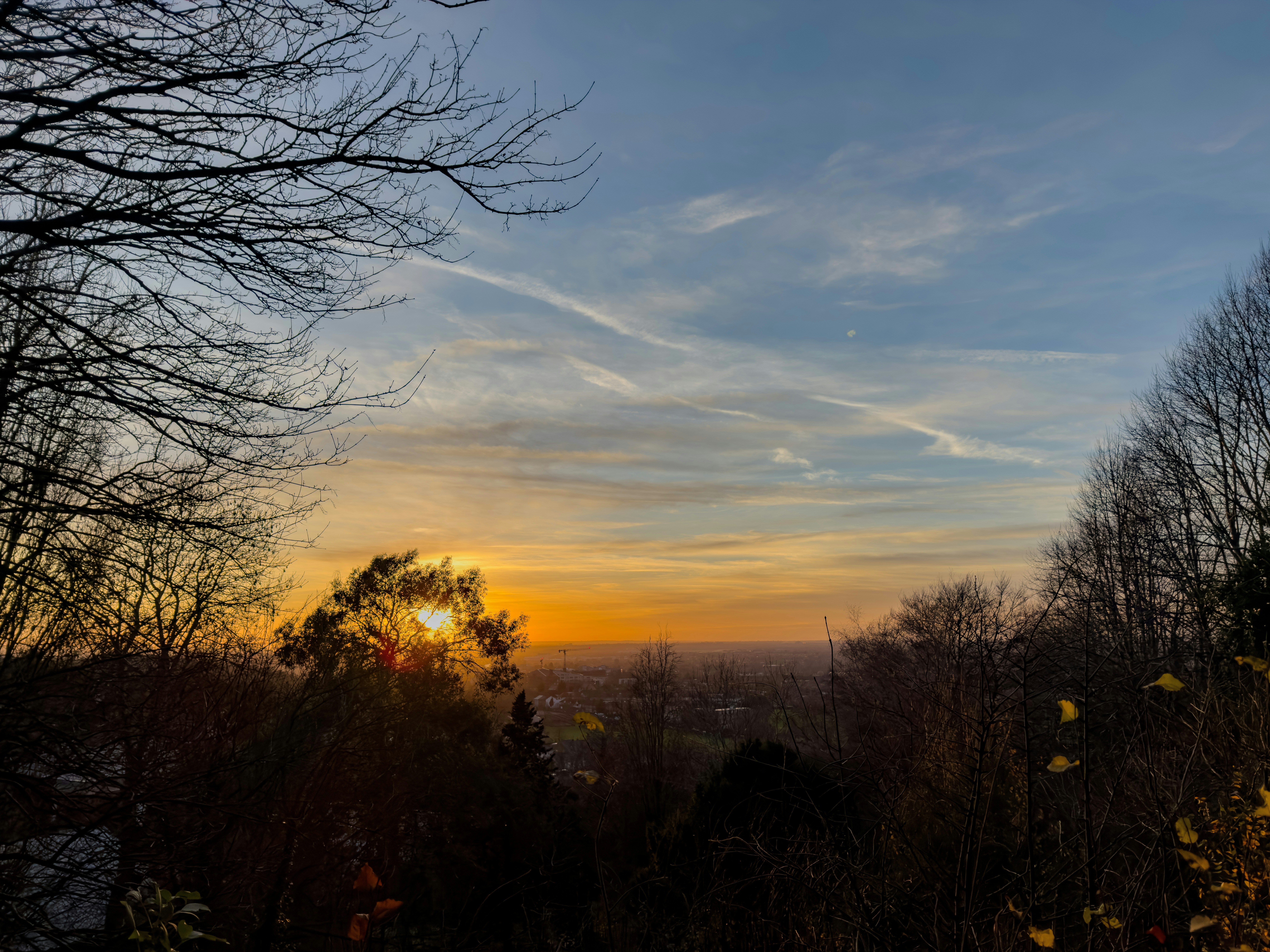 Sunlit horizon over a quiet valley framed by bare branches