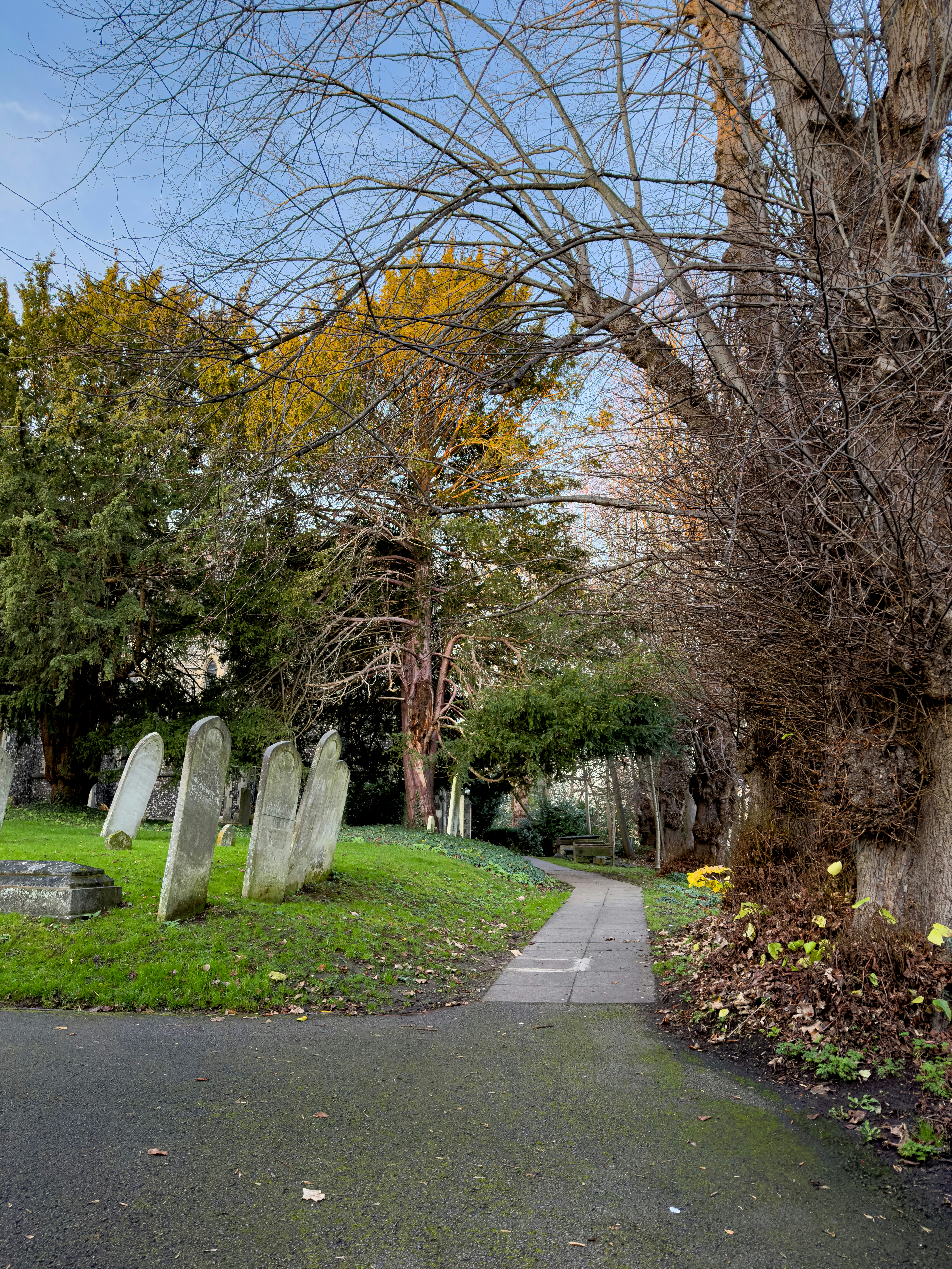 Curved Path Through a Quiet Cemetery Park at Dusk