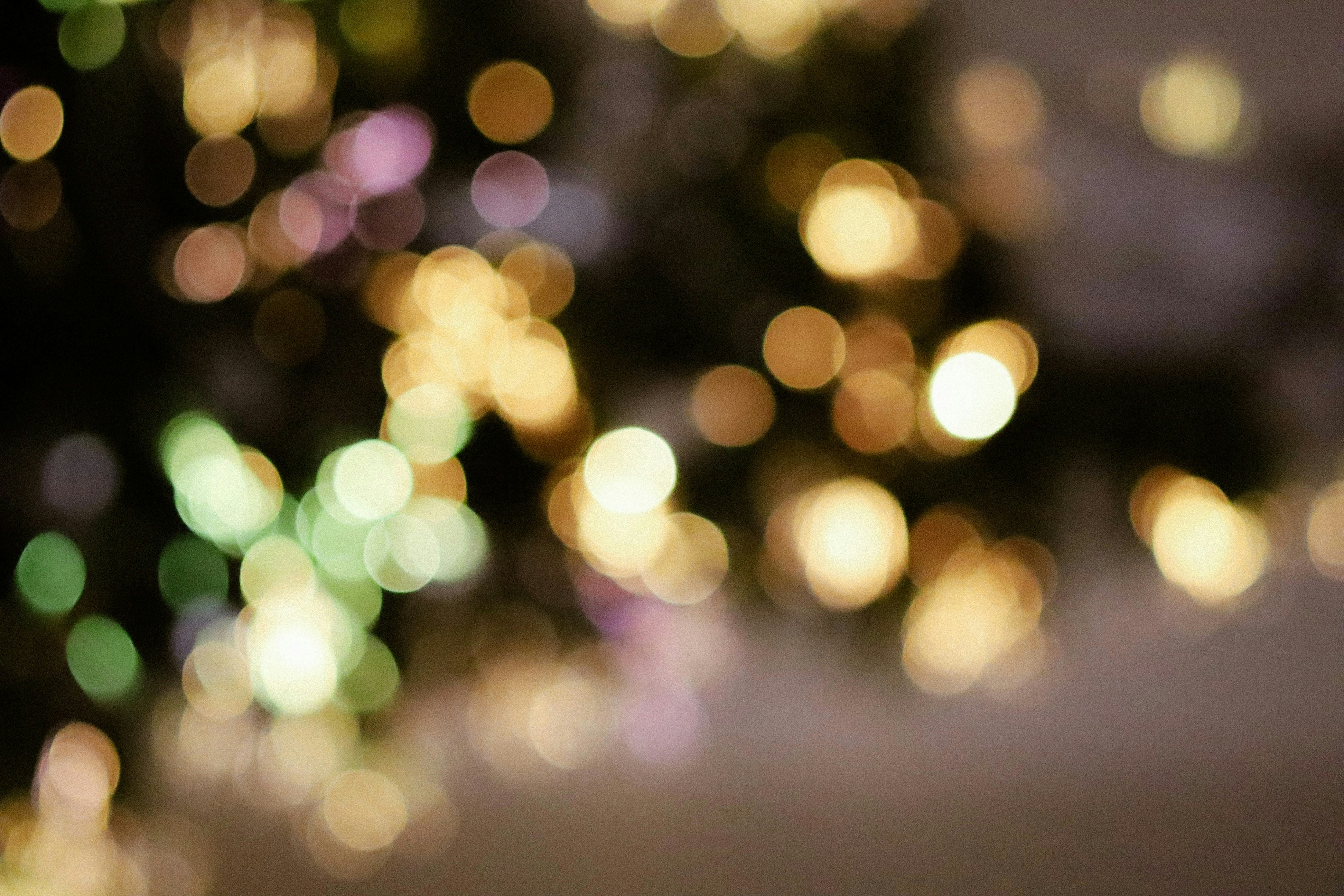 Photo by Nataliya Melnychuk with Canon EOS RP