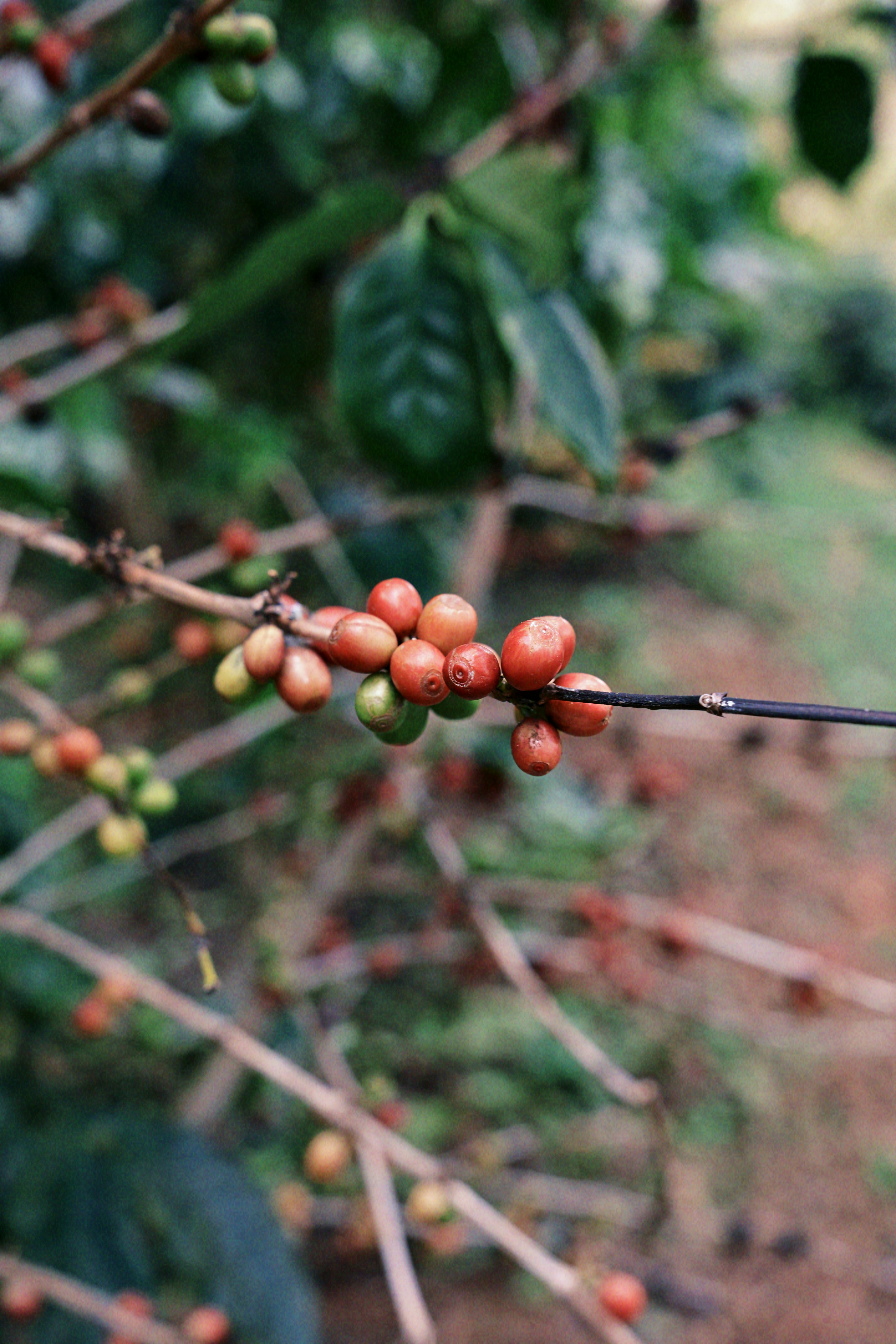 Photo by wang binghua with Nikon Z5 II