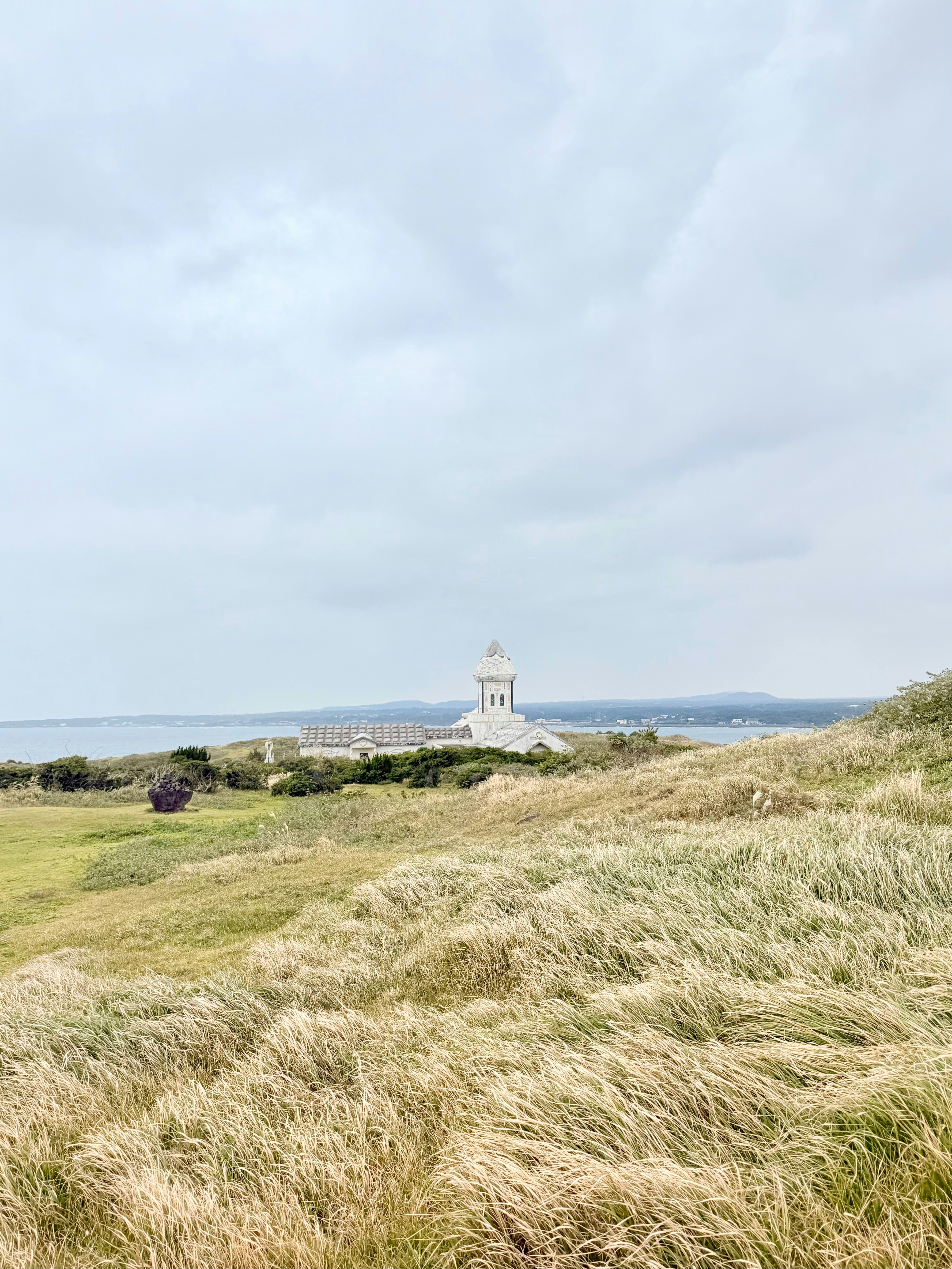 Coastal Monument Rising Above Ocean Grass