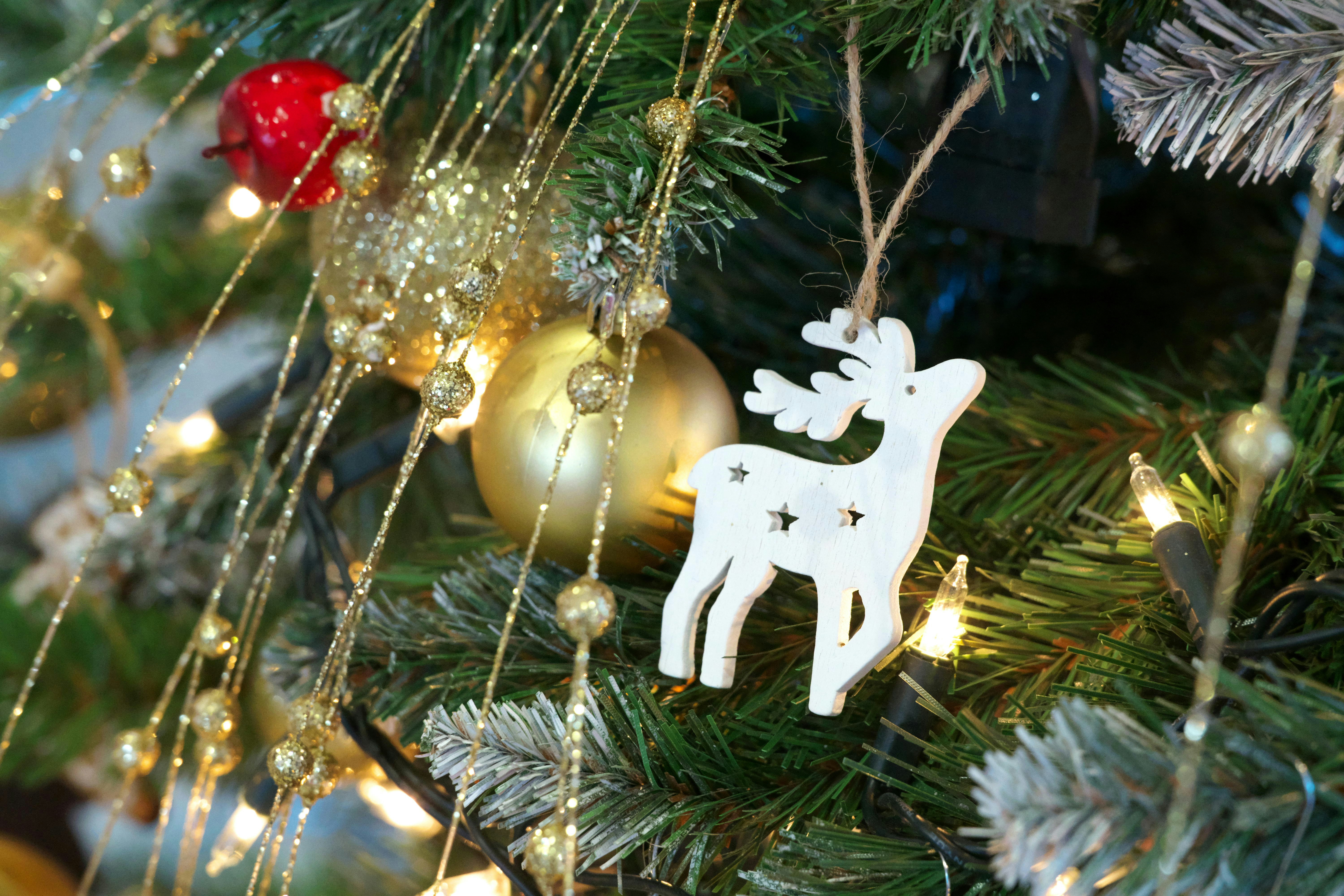 Photo by Tadeusz Zachwieja with Sony Alpha 7R V