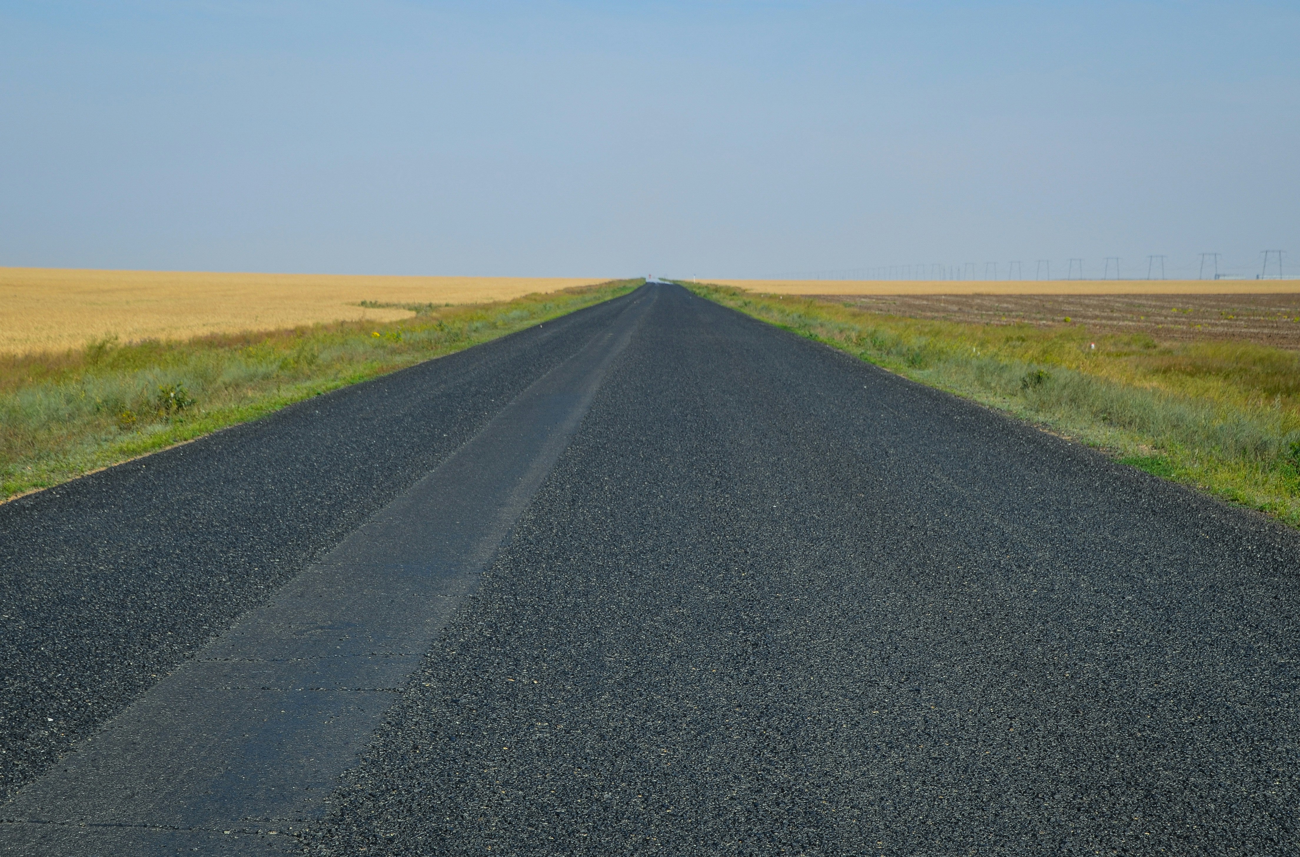A long straight road stretches into the horizon, flanked by golden crops on one side and brown fallow land on the other.