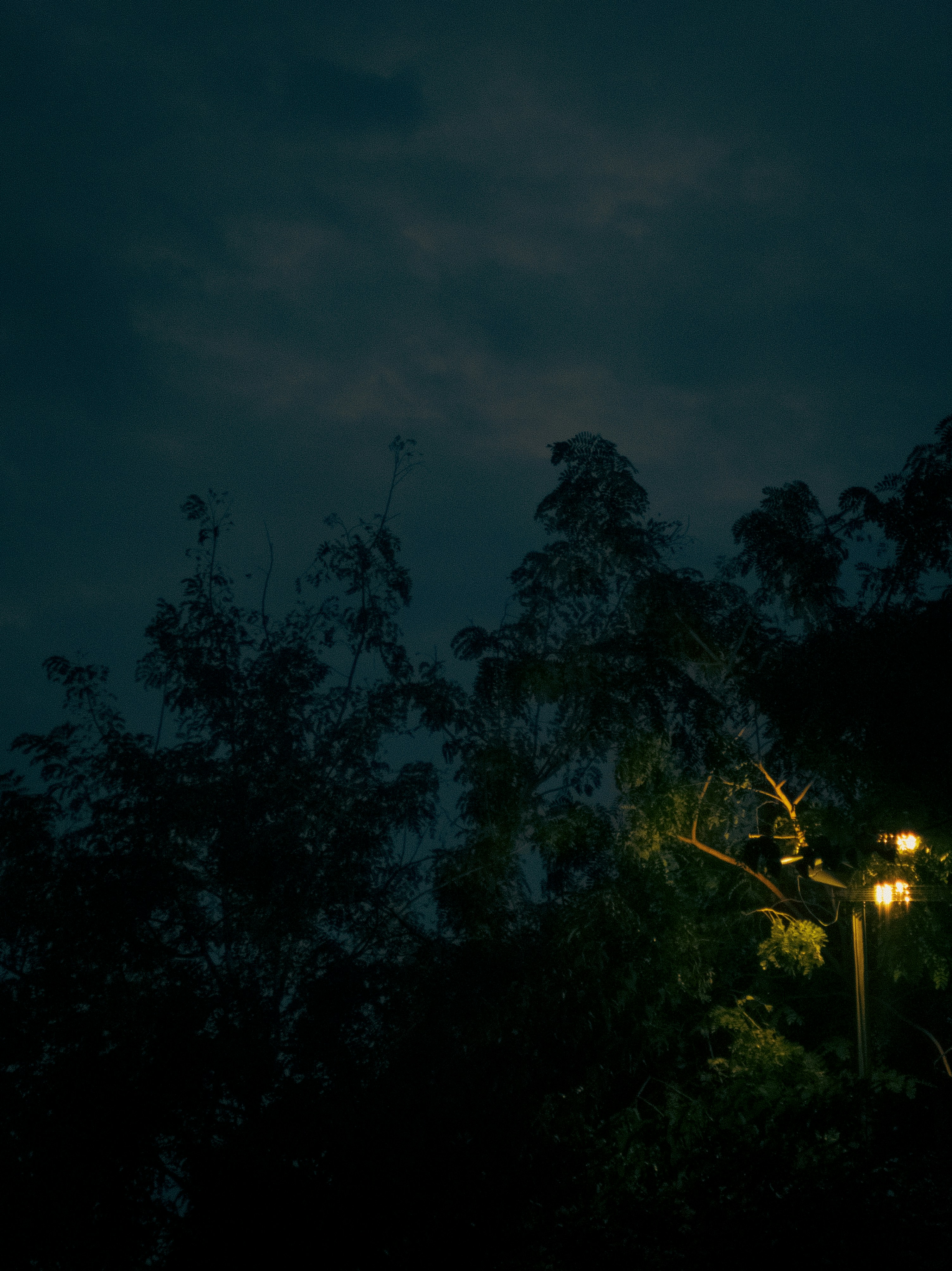 Photo by Mustafi Numann with Sony Xperia 1 IV