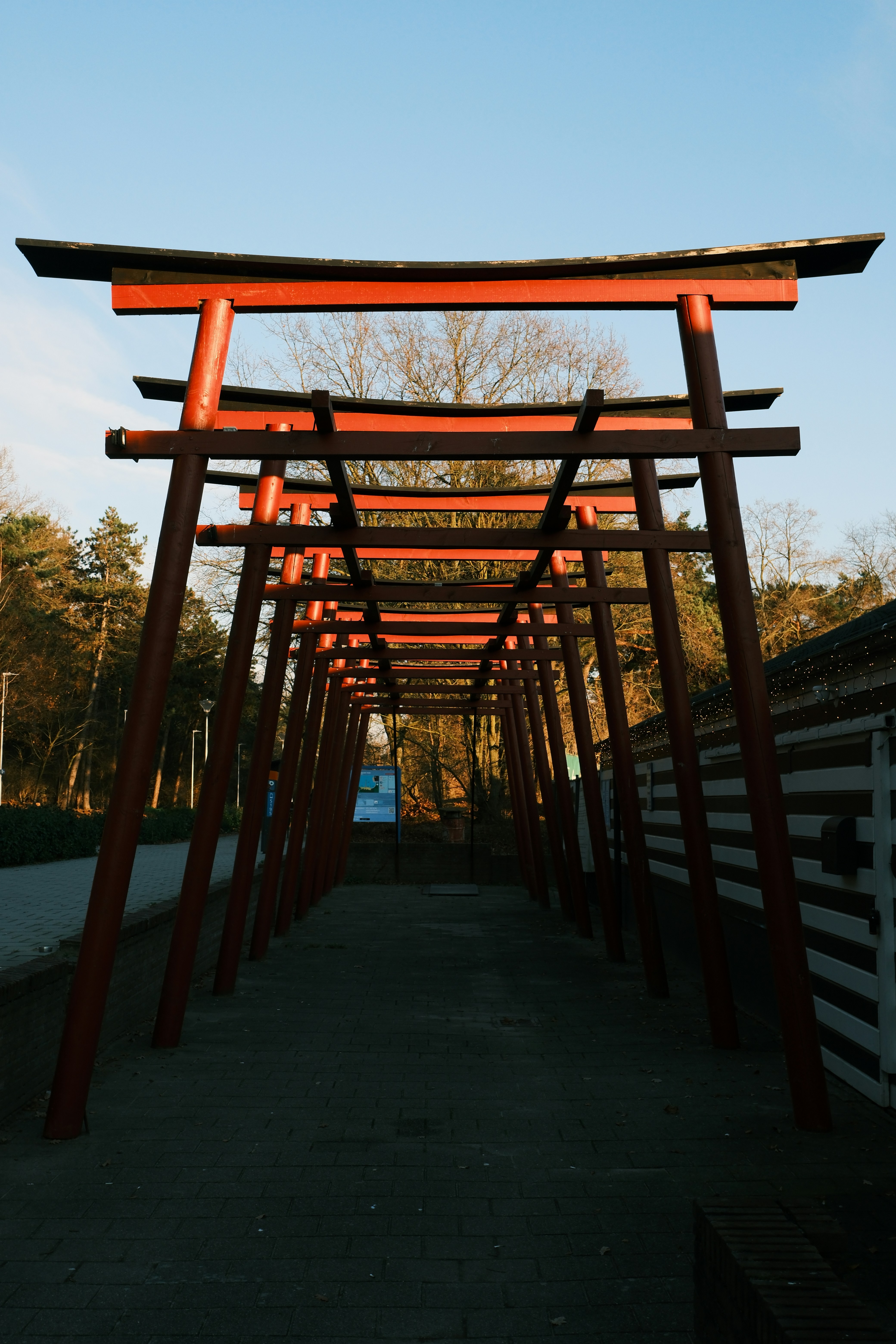 Photo by XinXin with Fujifilm X-T30 III