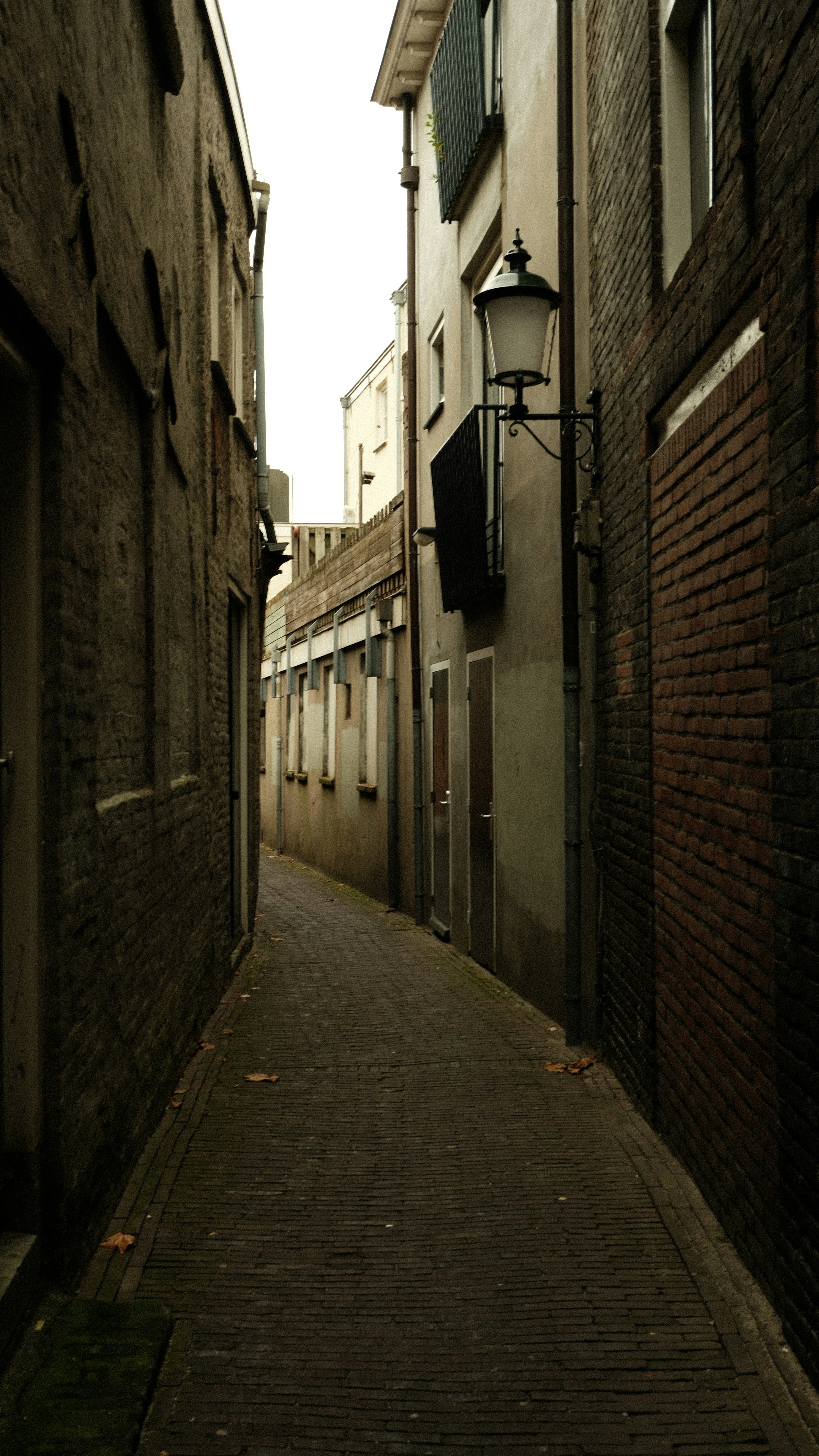 Photo by XinXin with Fujifilm X-T30 III