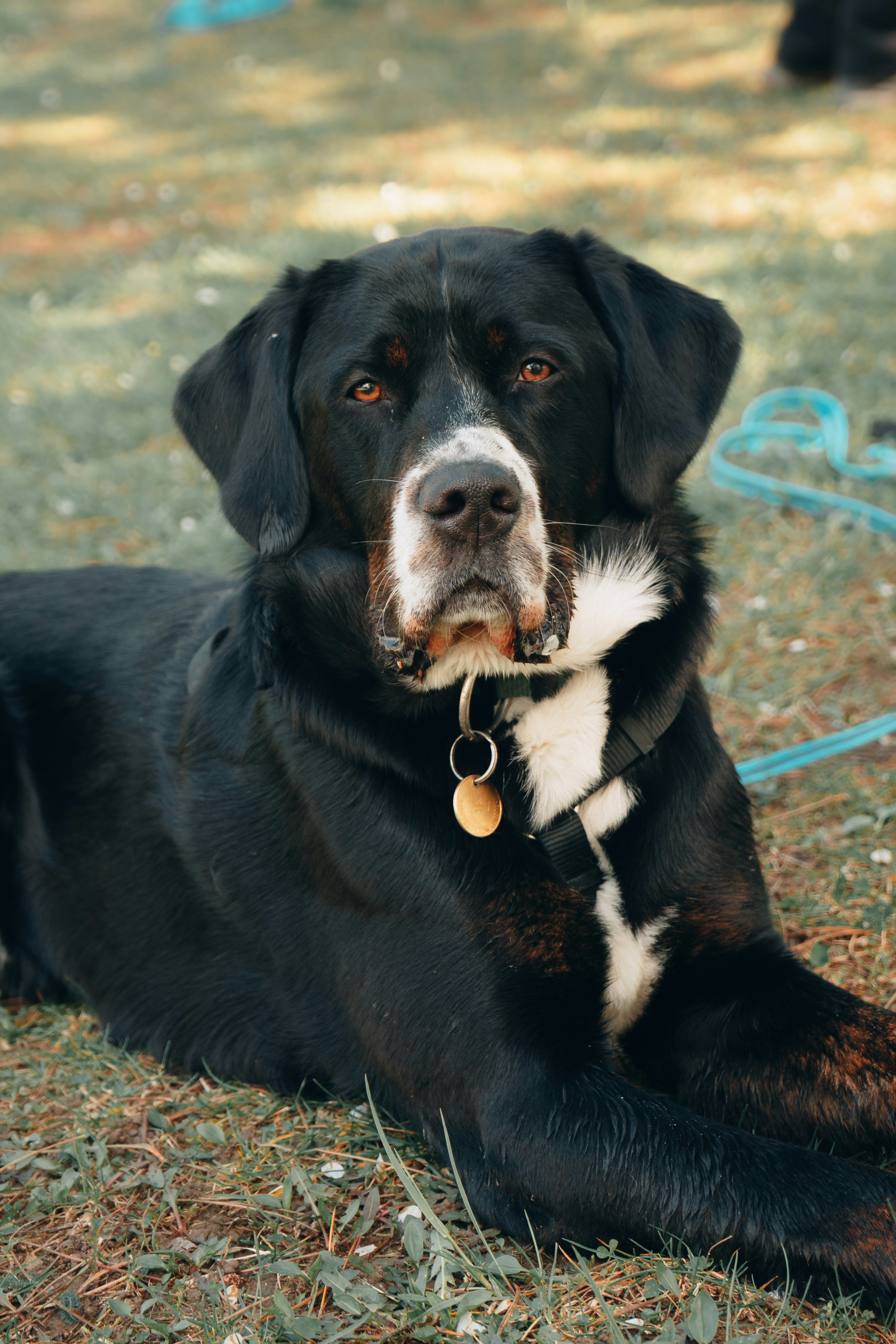 Photo by Denis Bayer with Sony Alpha 7 IV