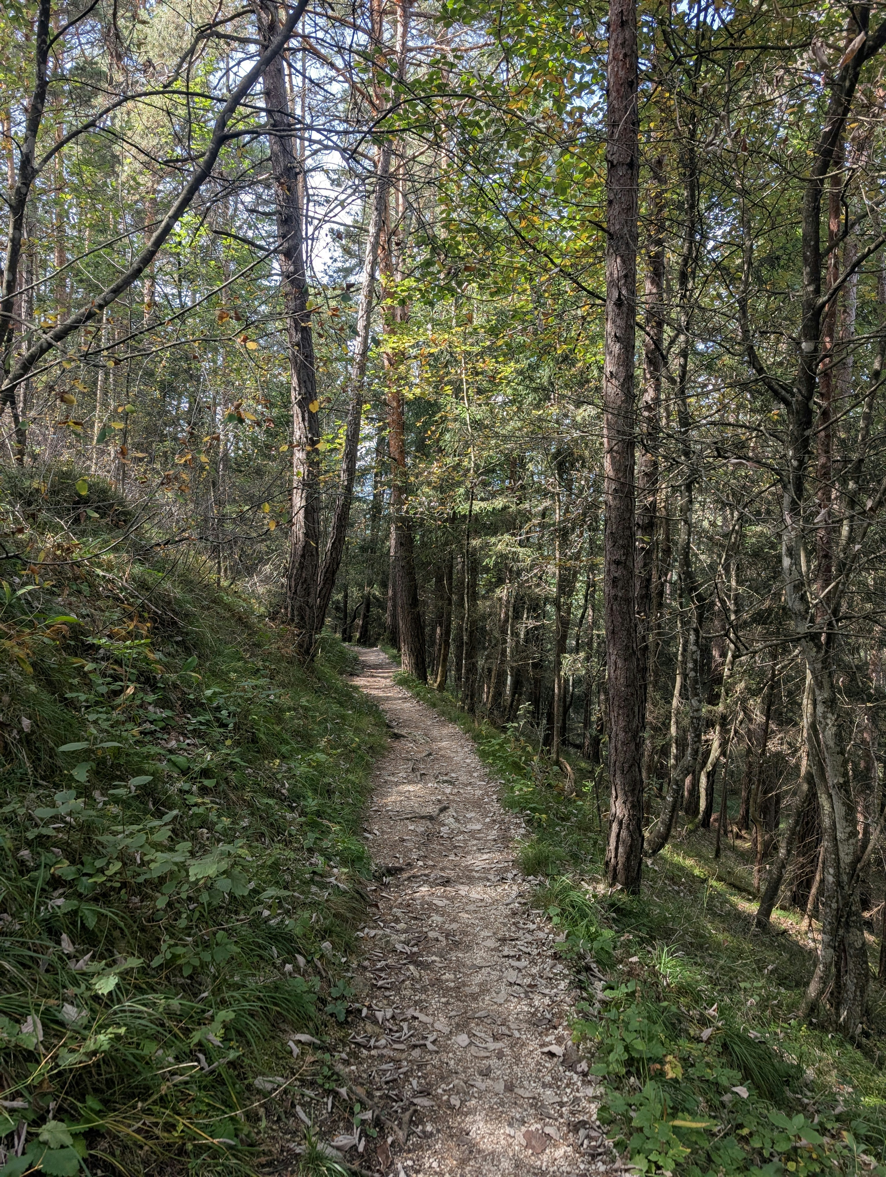 Hiking trail in the Dolomites