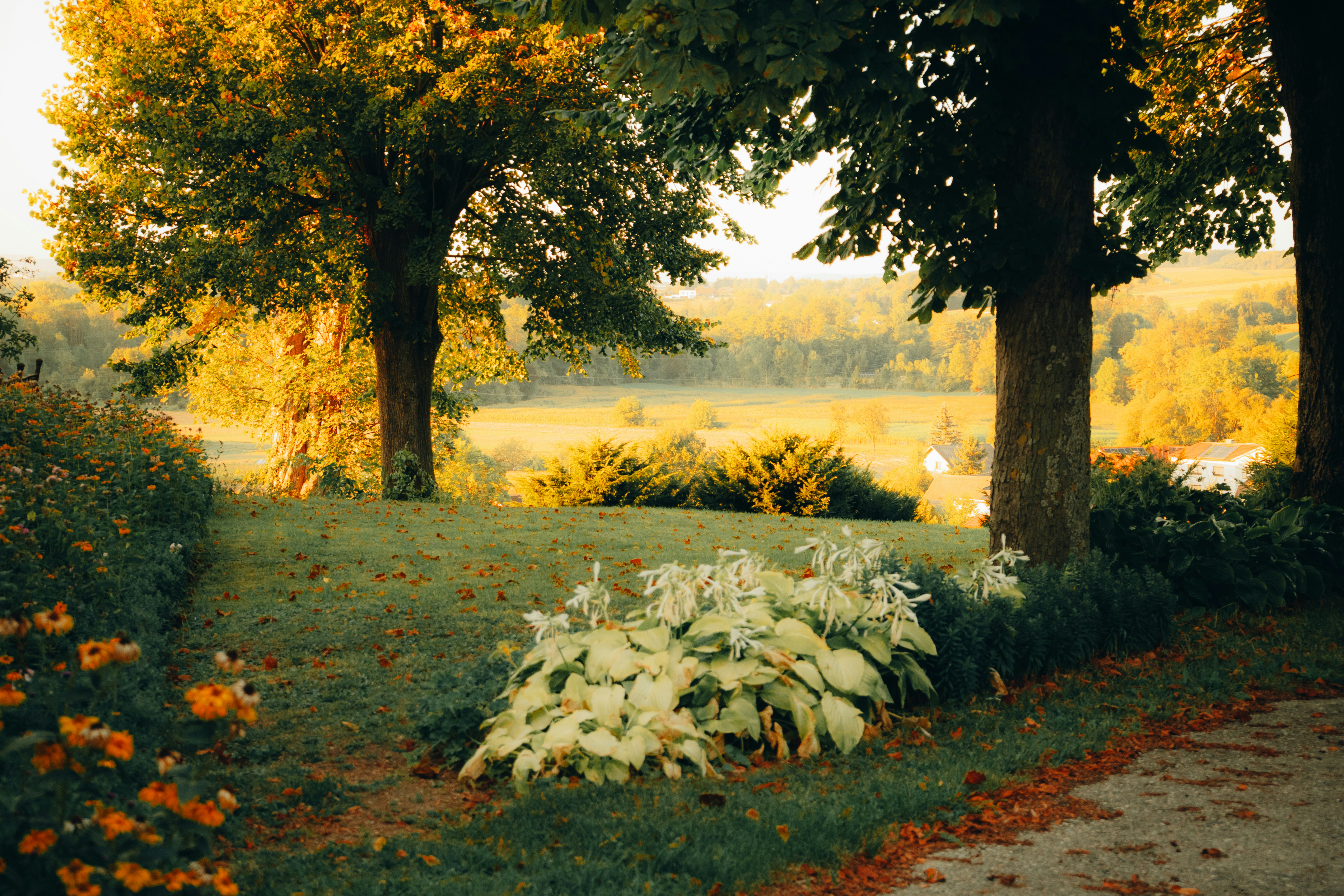 Autumn Quiet: A Leafy Riverside Walk