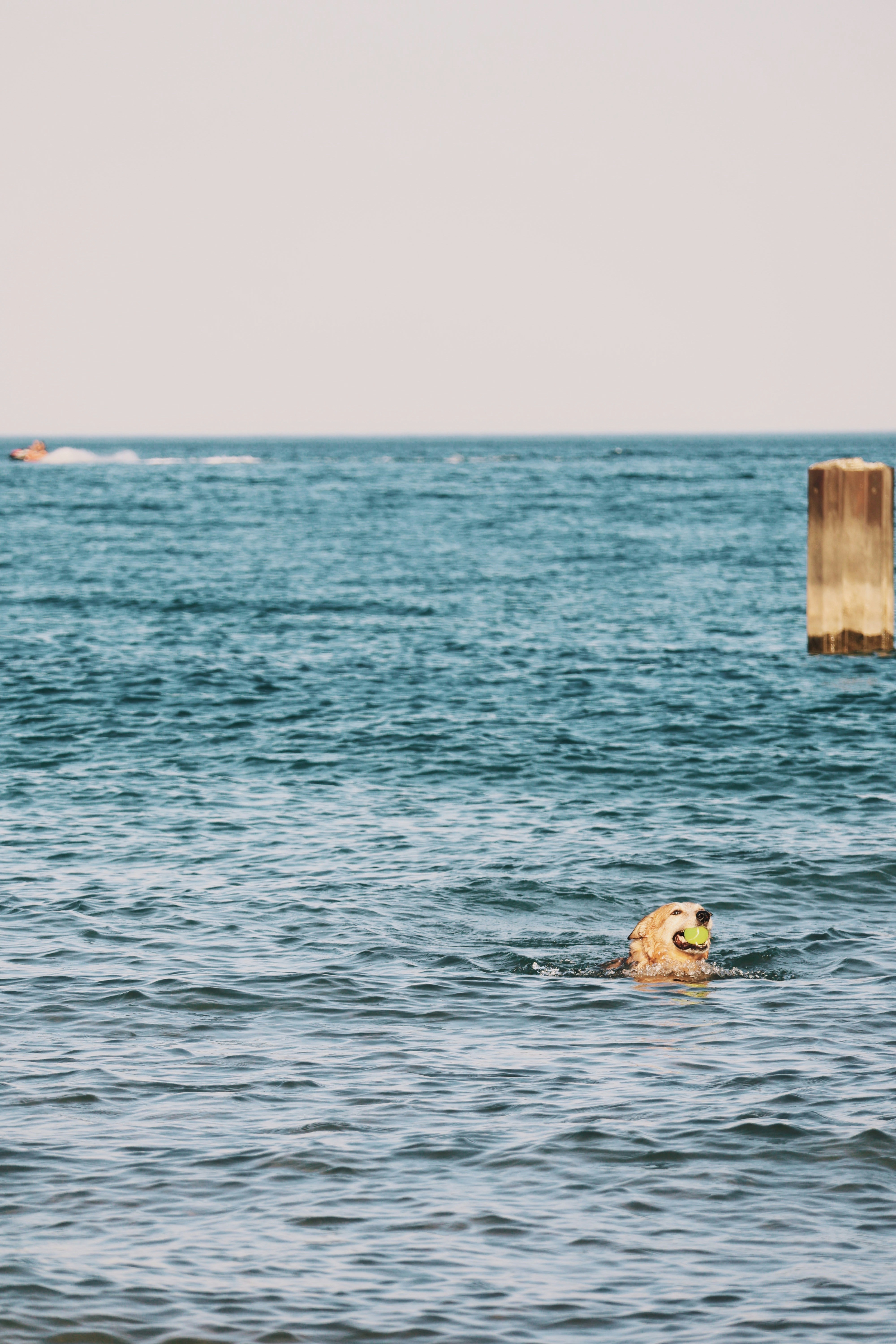 Chicago, October 2025