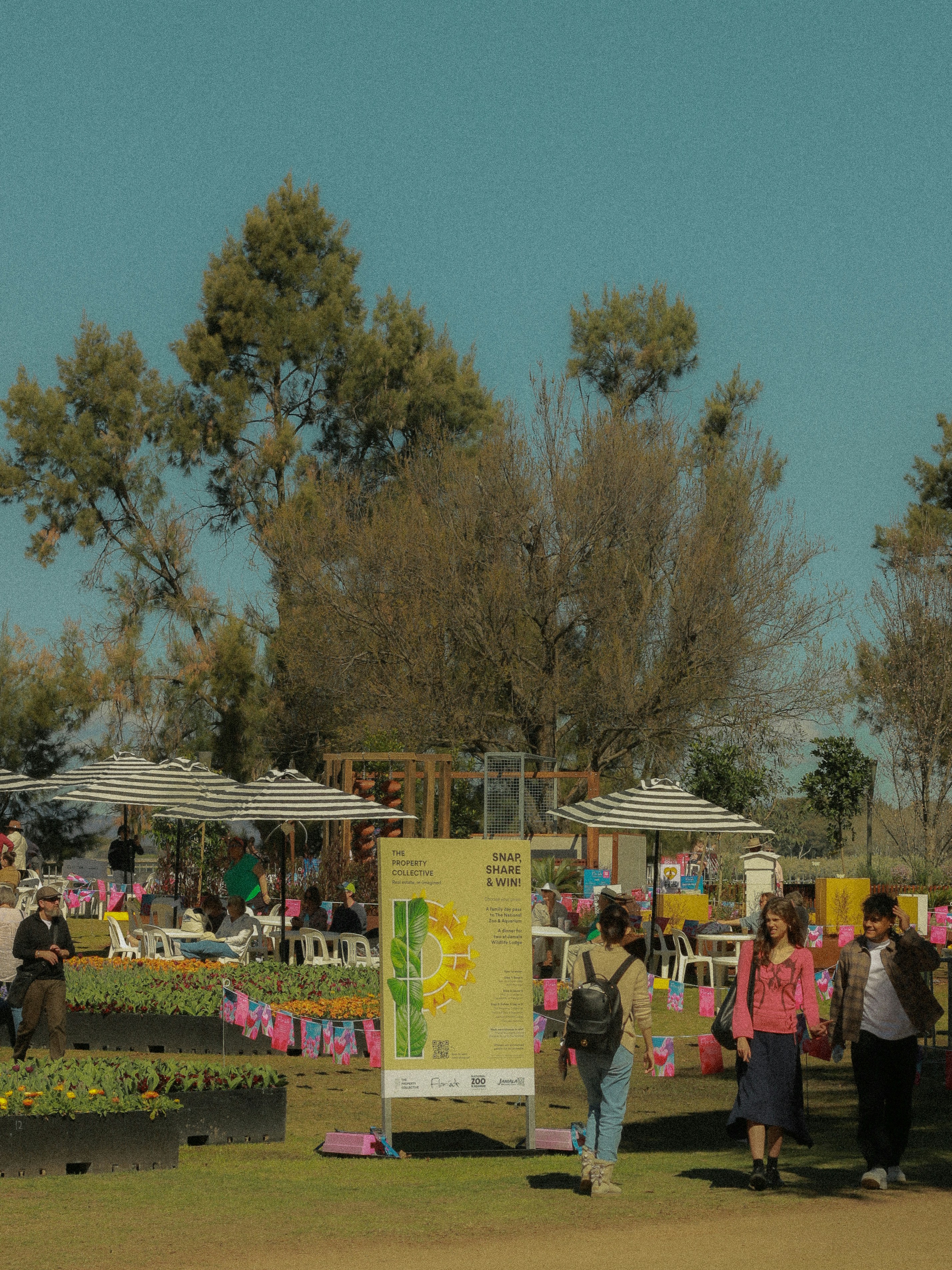Garden Market Day: A Sunlit Calle of Plants and People