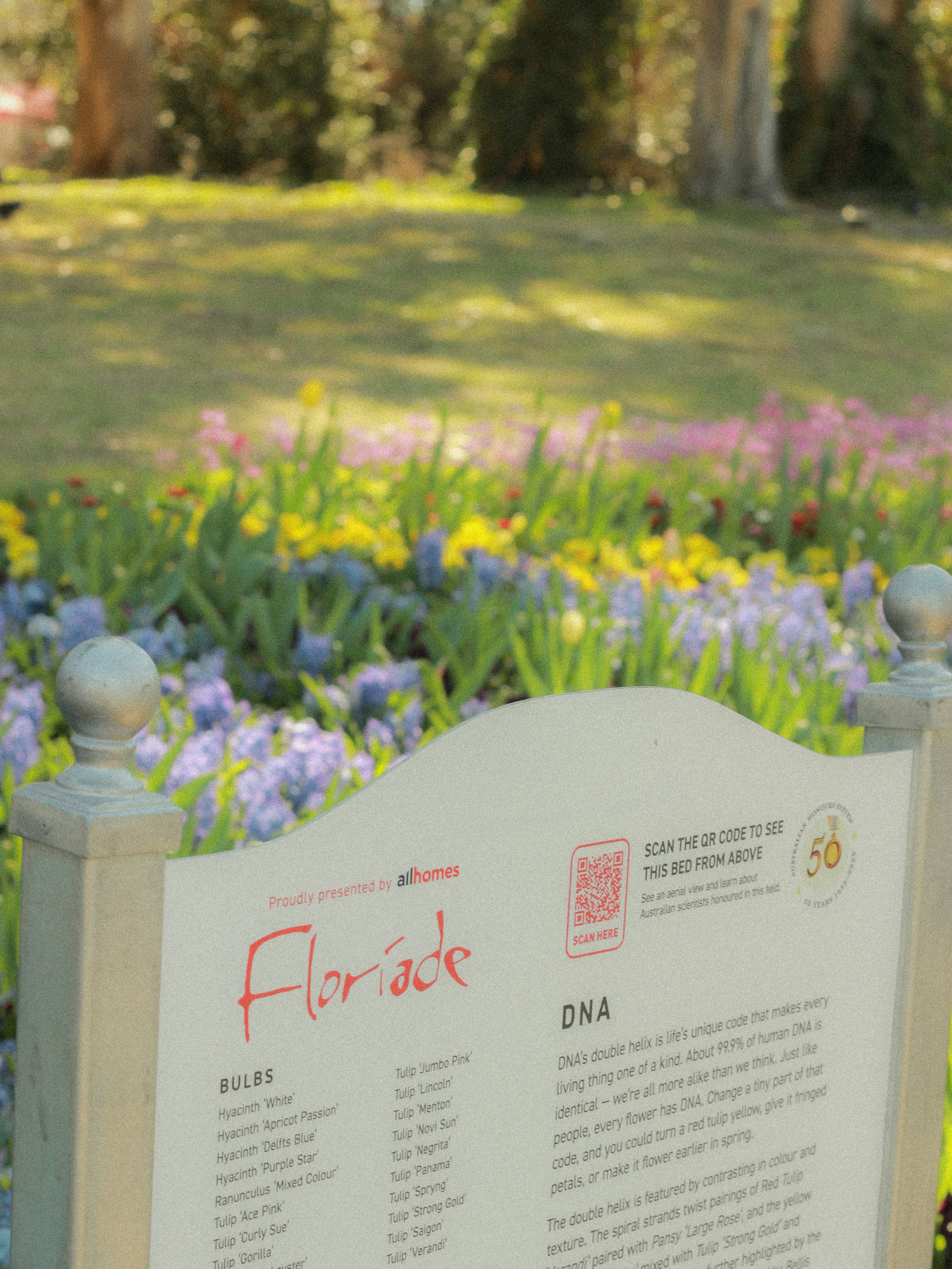 Floridade Sign in a Blooming Garden