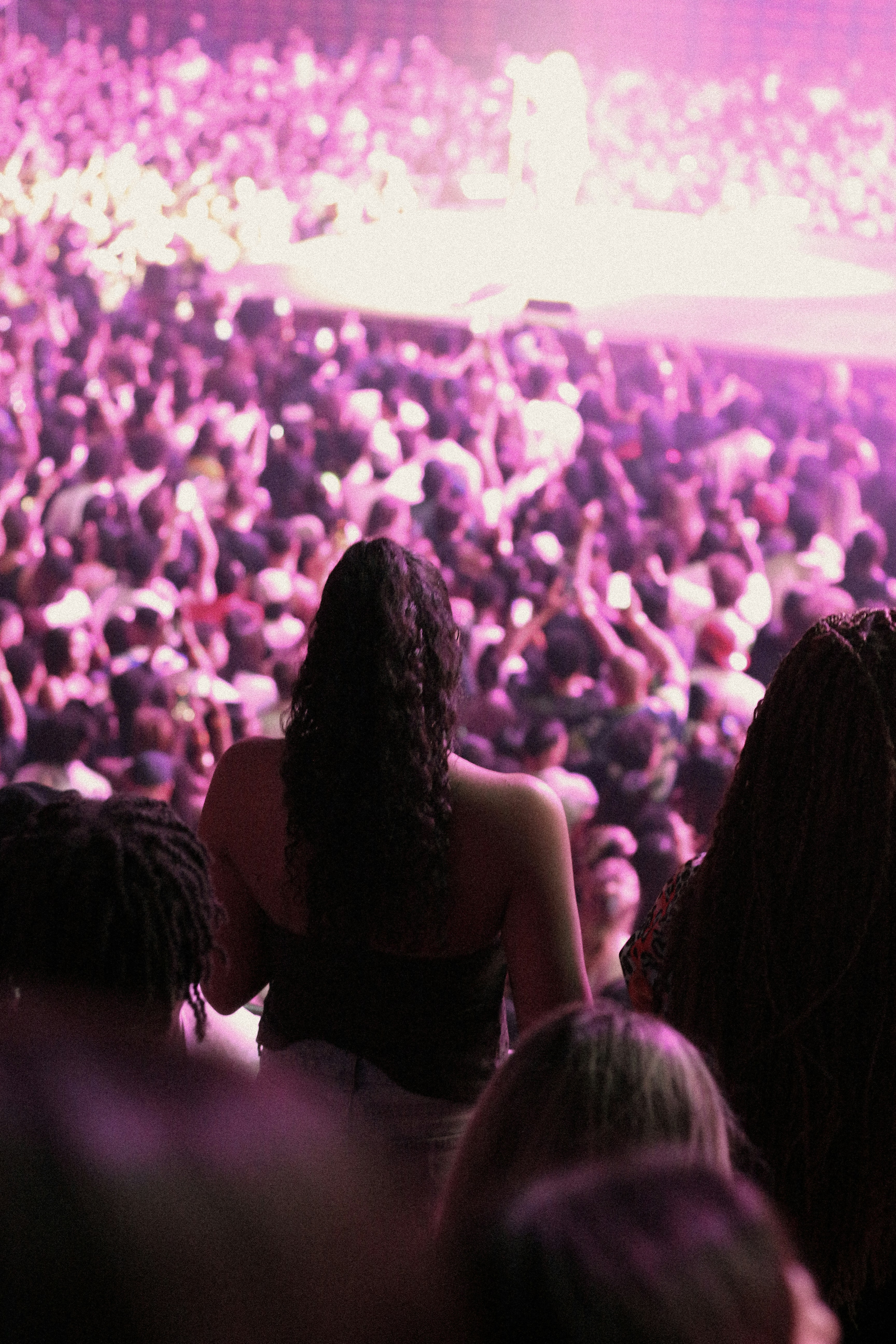 Backlit silhouette amid a sea of pink-tinged concert energy