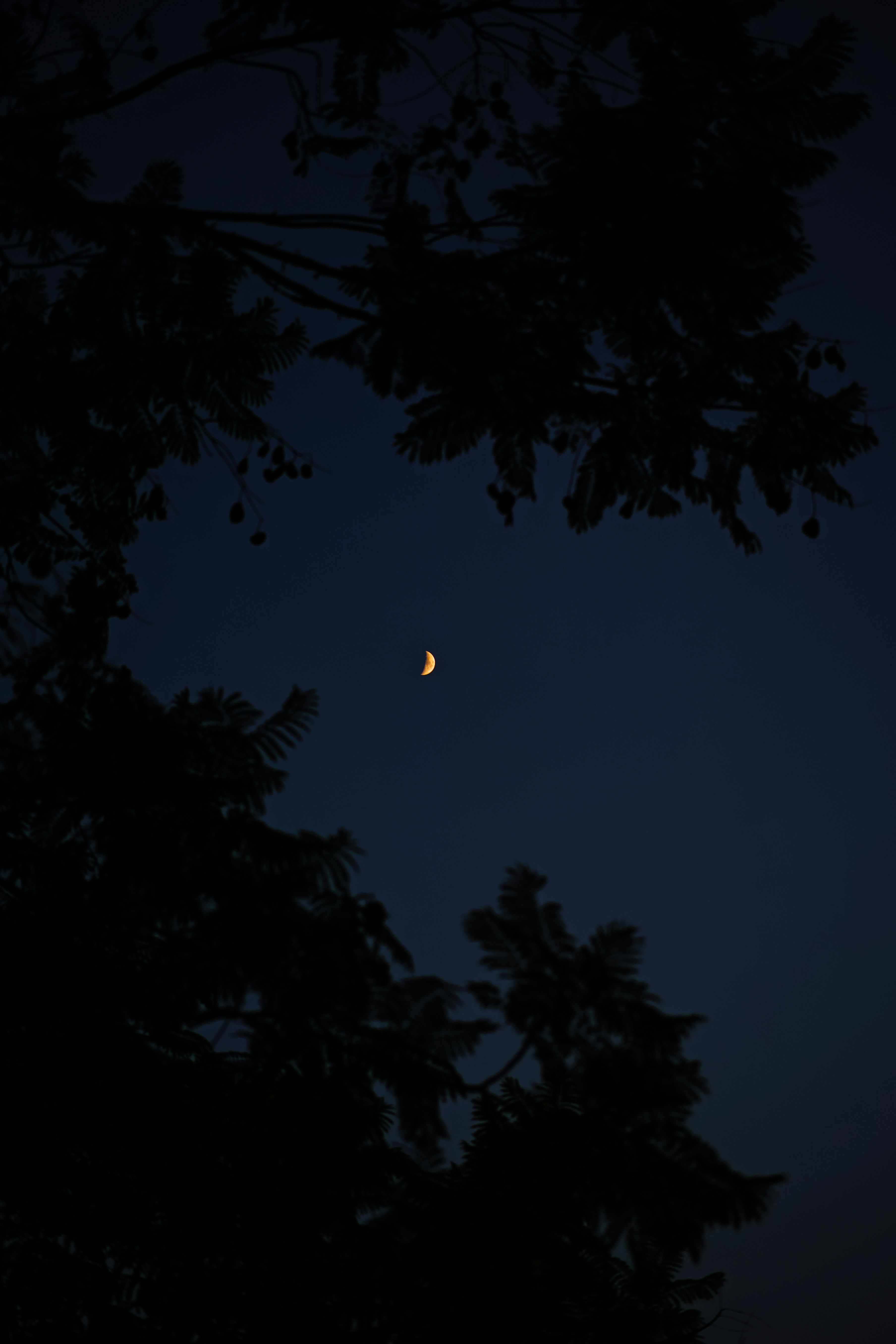 Photo by 阿瞒 with Sigma dp3 Quattro