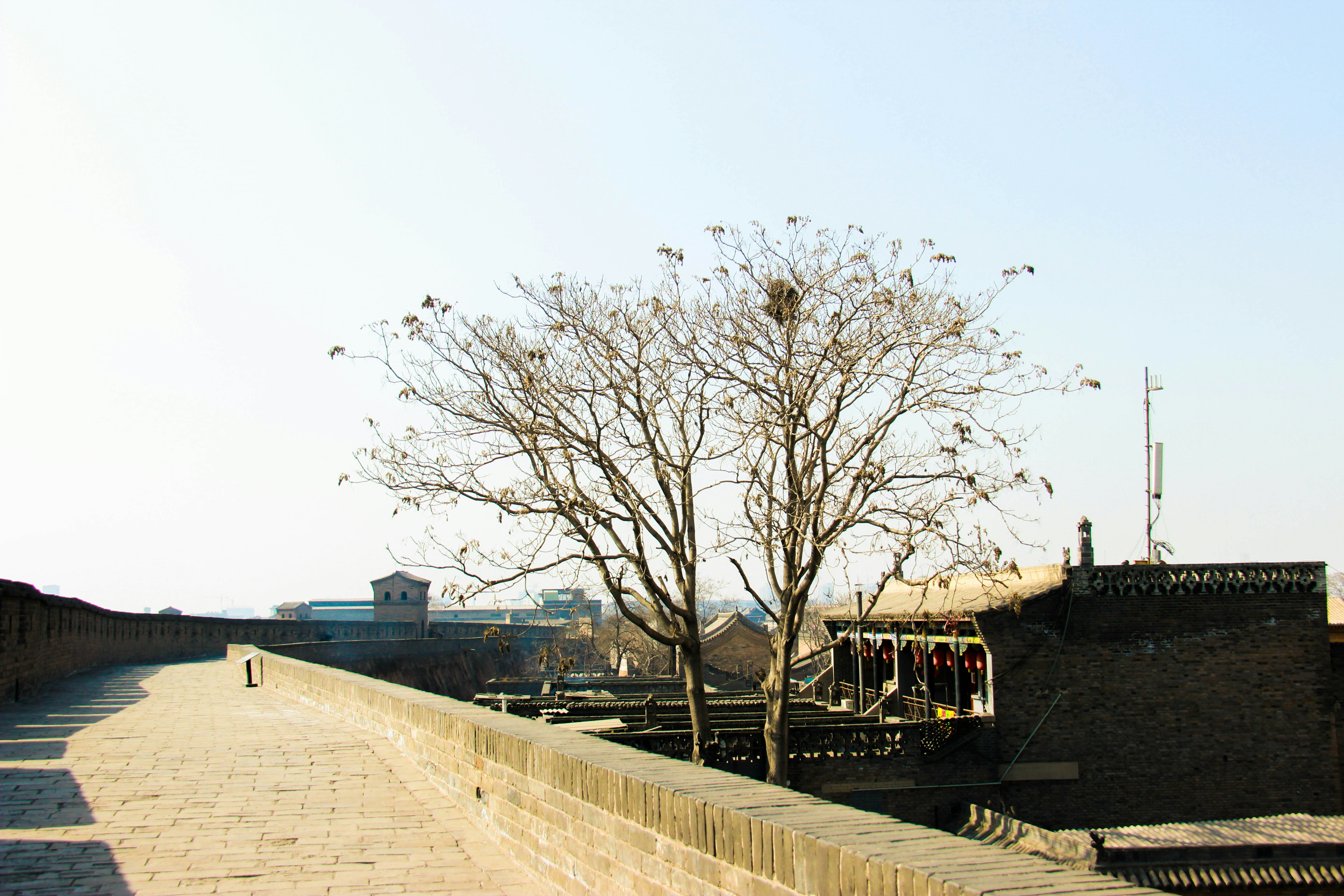 Sunlit Horizon: A Quiet Riverside Bastion Under Leafless Trees