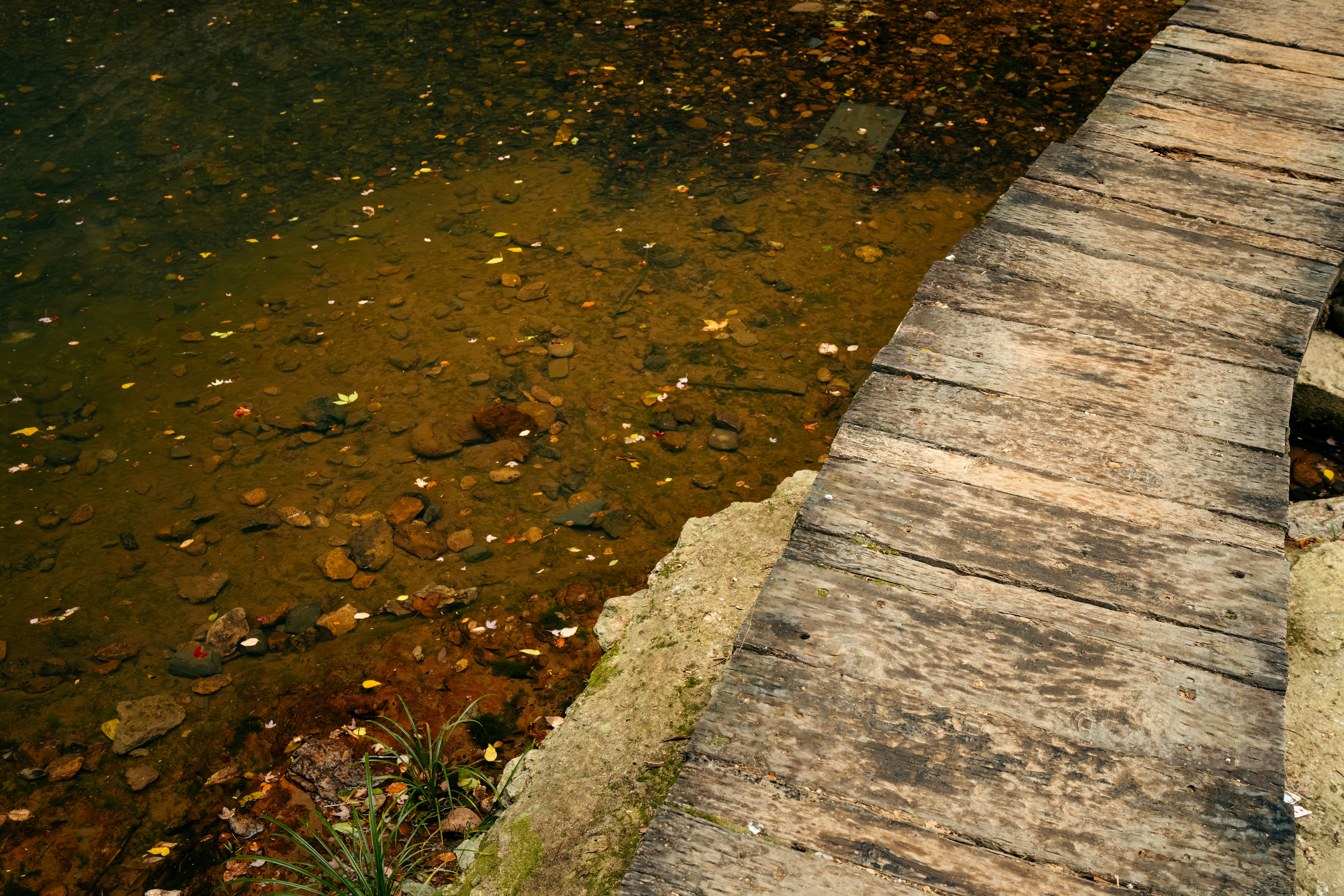 Photo by Declan Sun with Sony Alpha 7R V