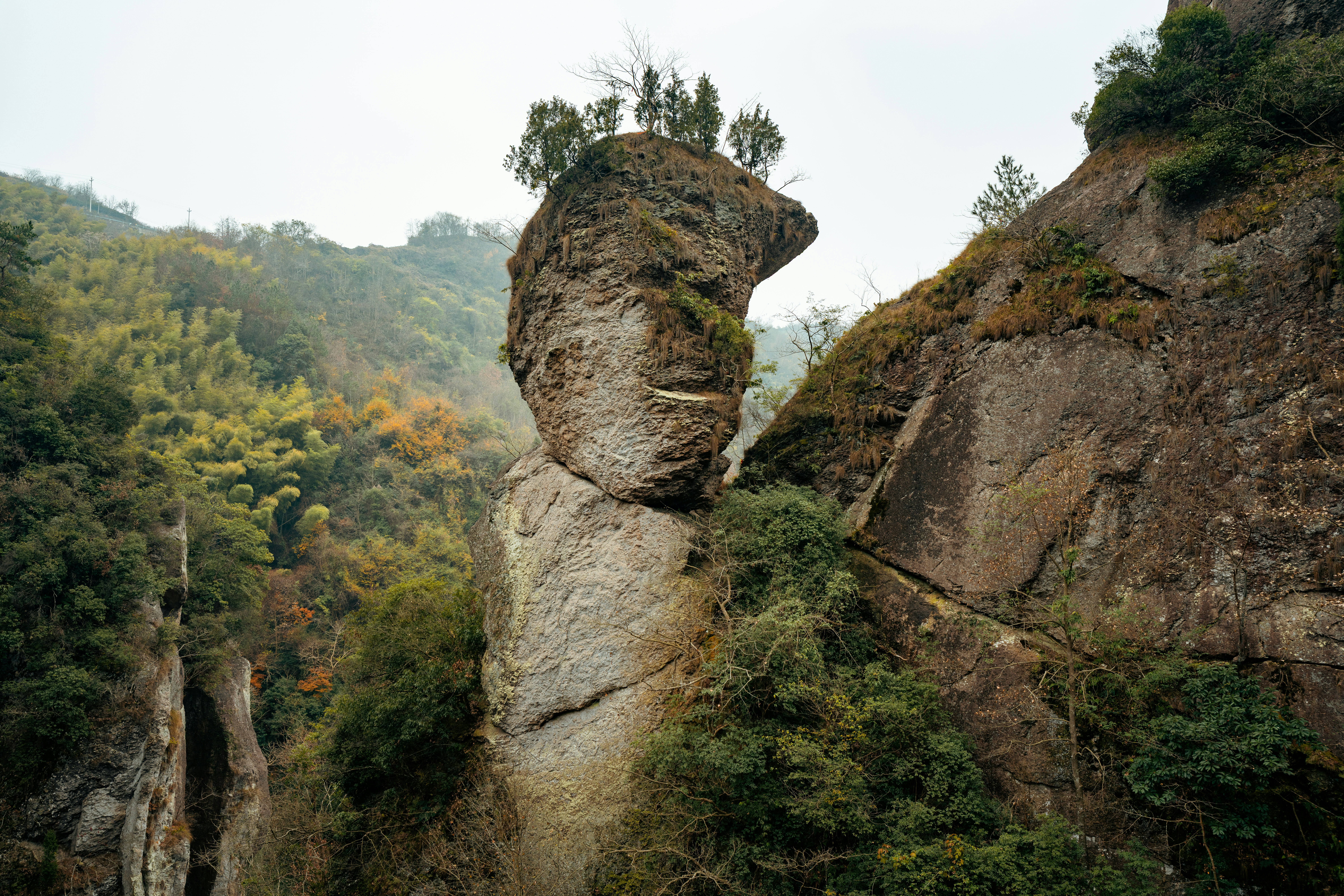 Photo by Declan Sun with Sony Alpha 7R V