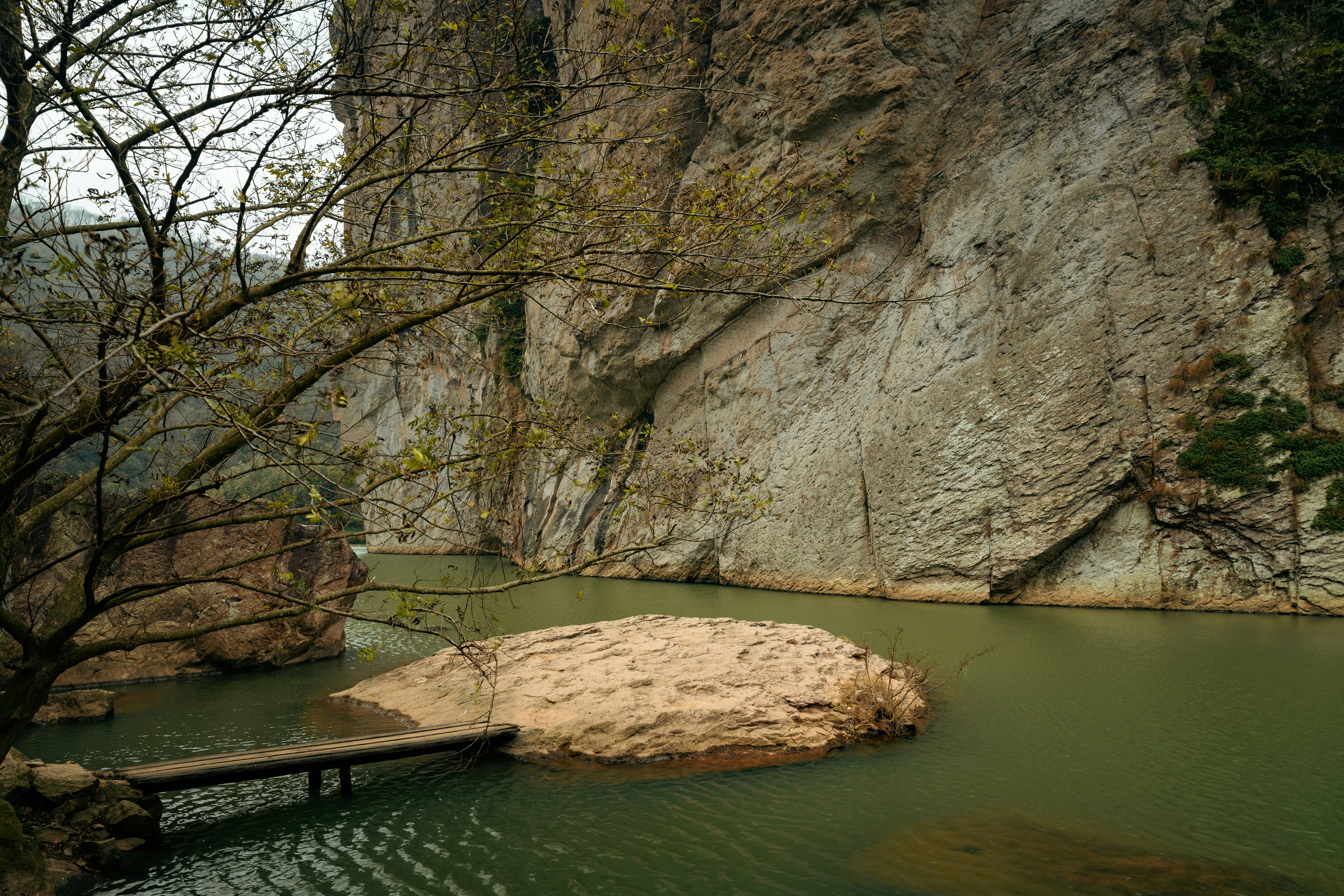 Photo by Declan Sun with Sony Alpha 7R V