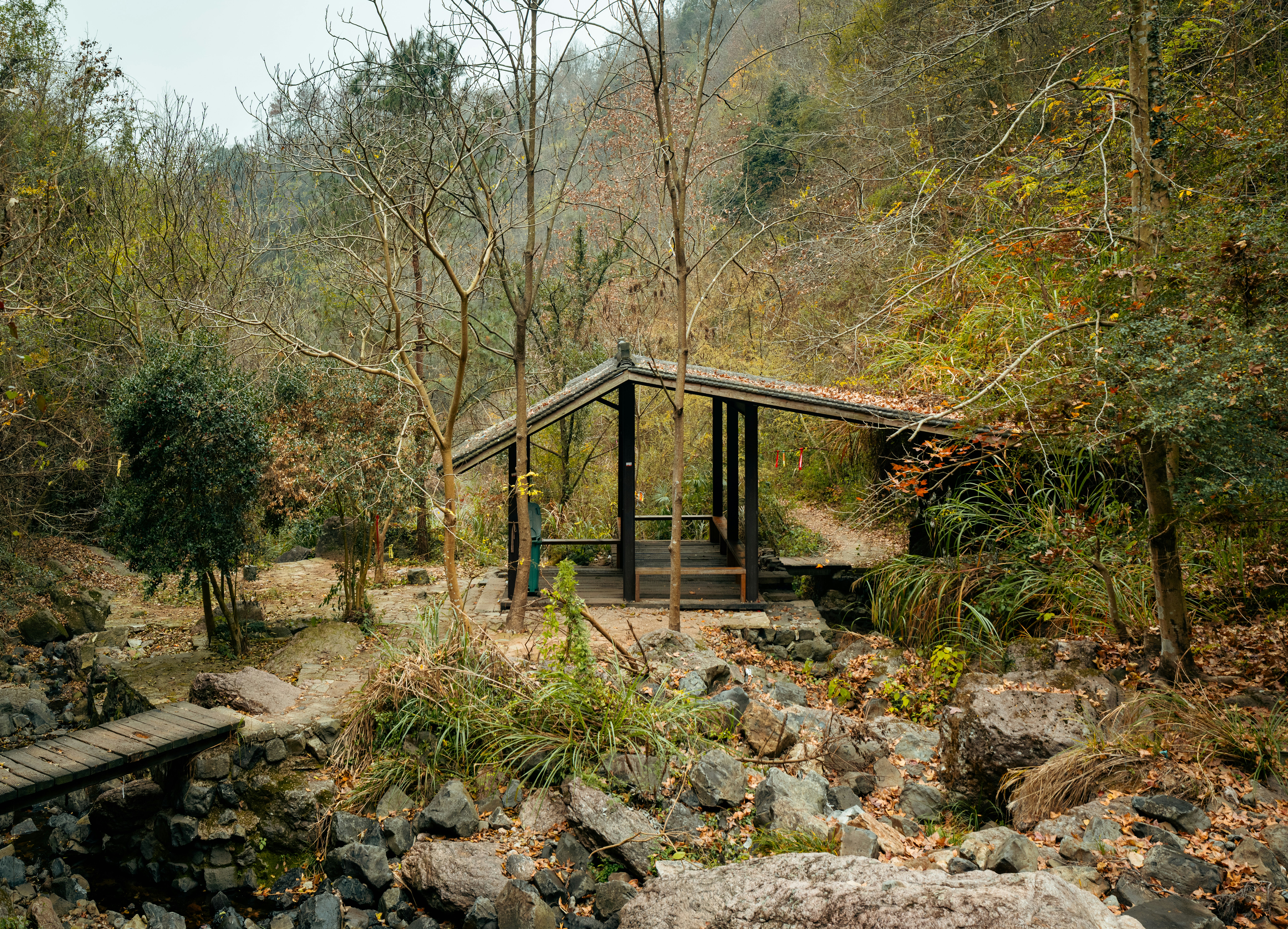 Photo by Declan Sun with Sony Alpha 7R V