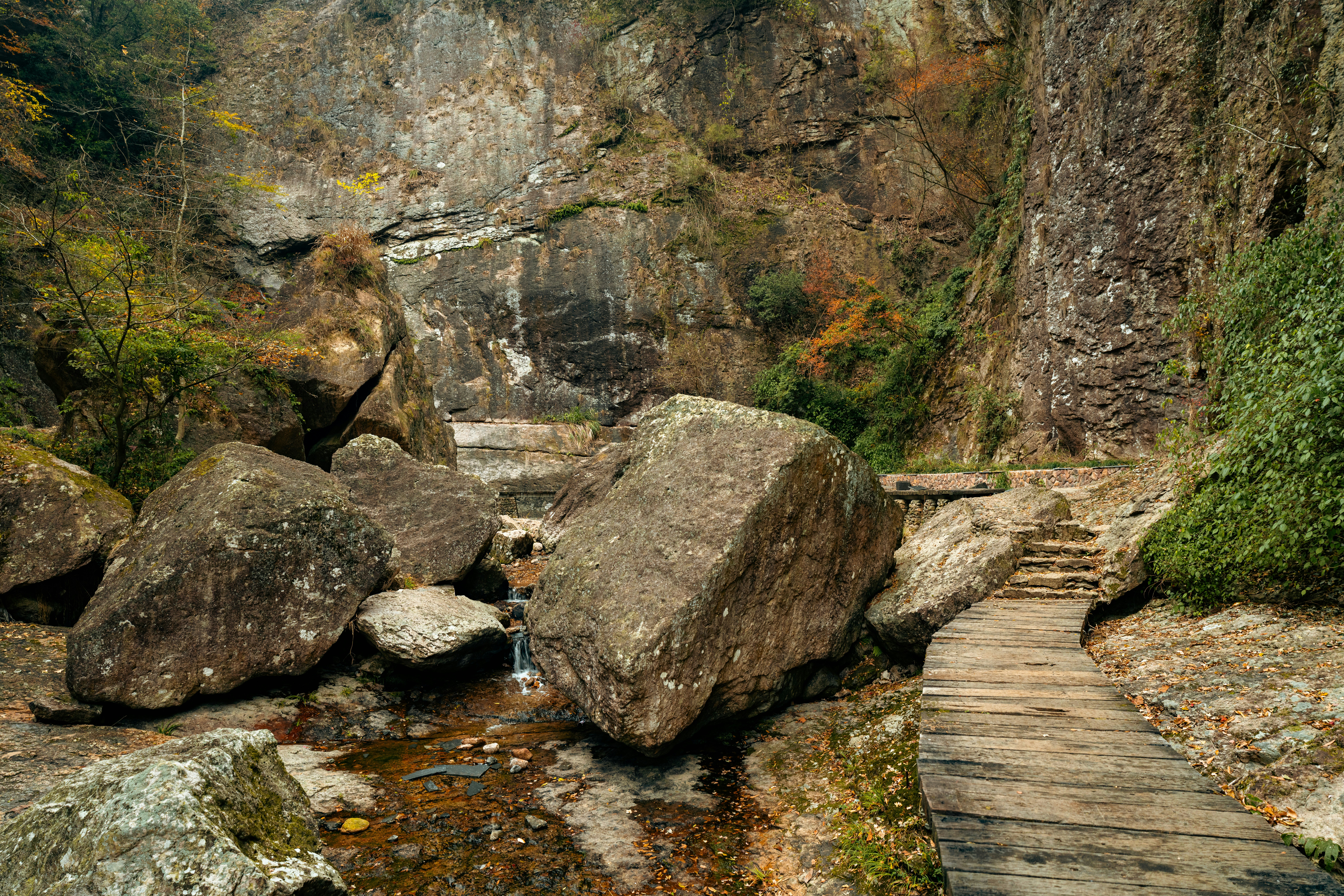 Photo by Declan Sun with Sony Alpha 7R V