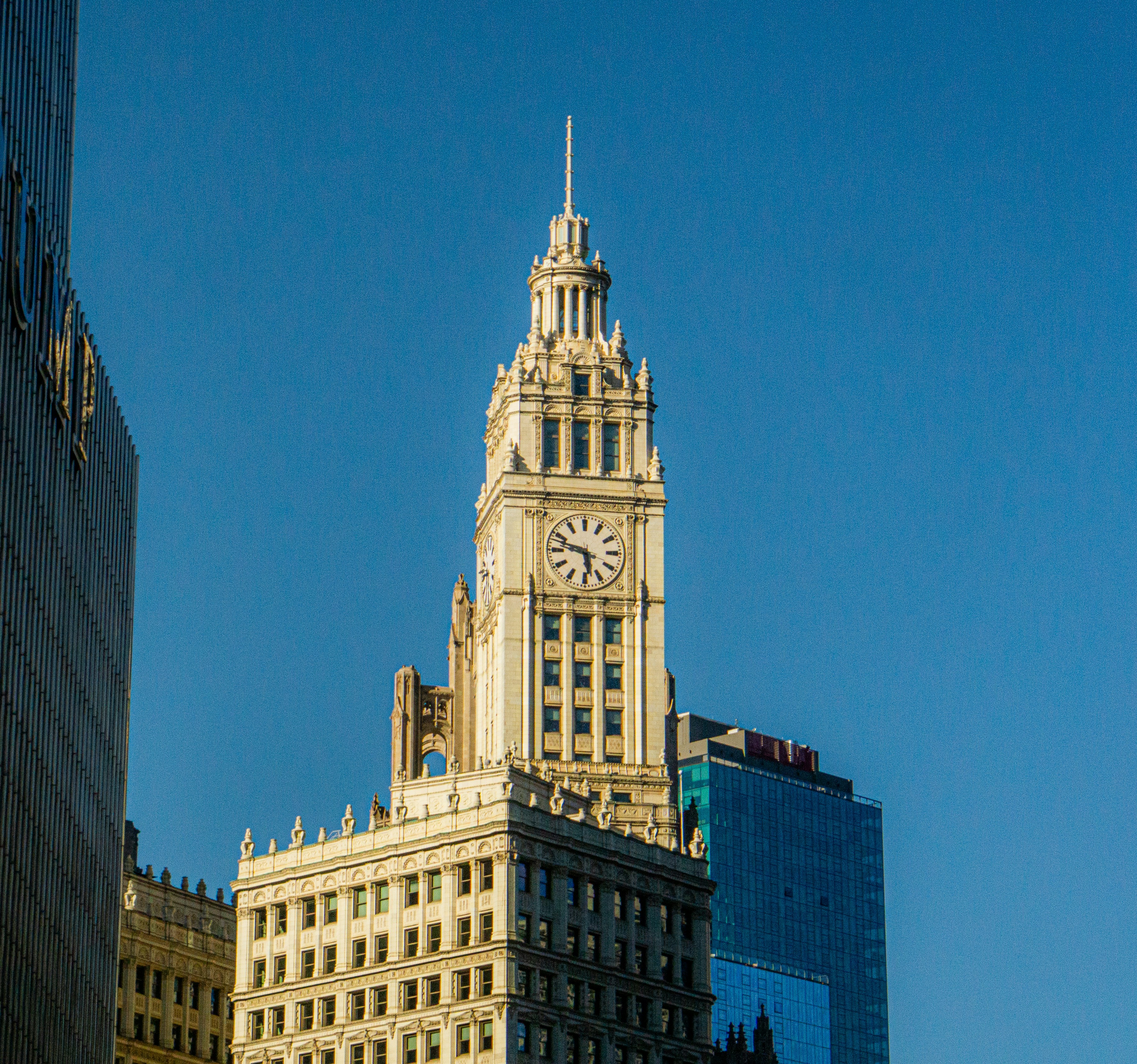 Photo by Alyssa McLay with Sony Alpha 6000