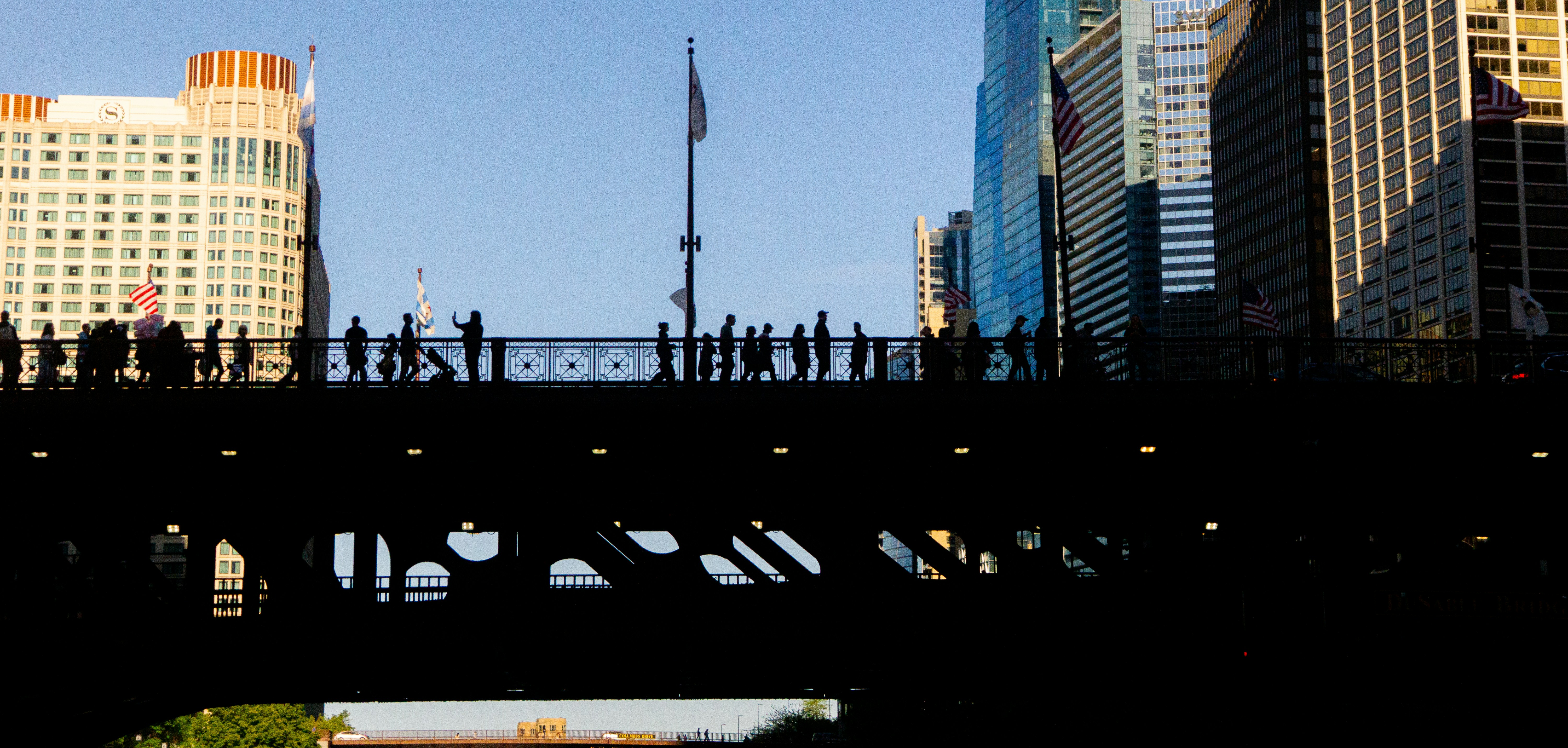 Photo by Alyssa McLay with Sony Alpha 6000