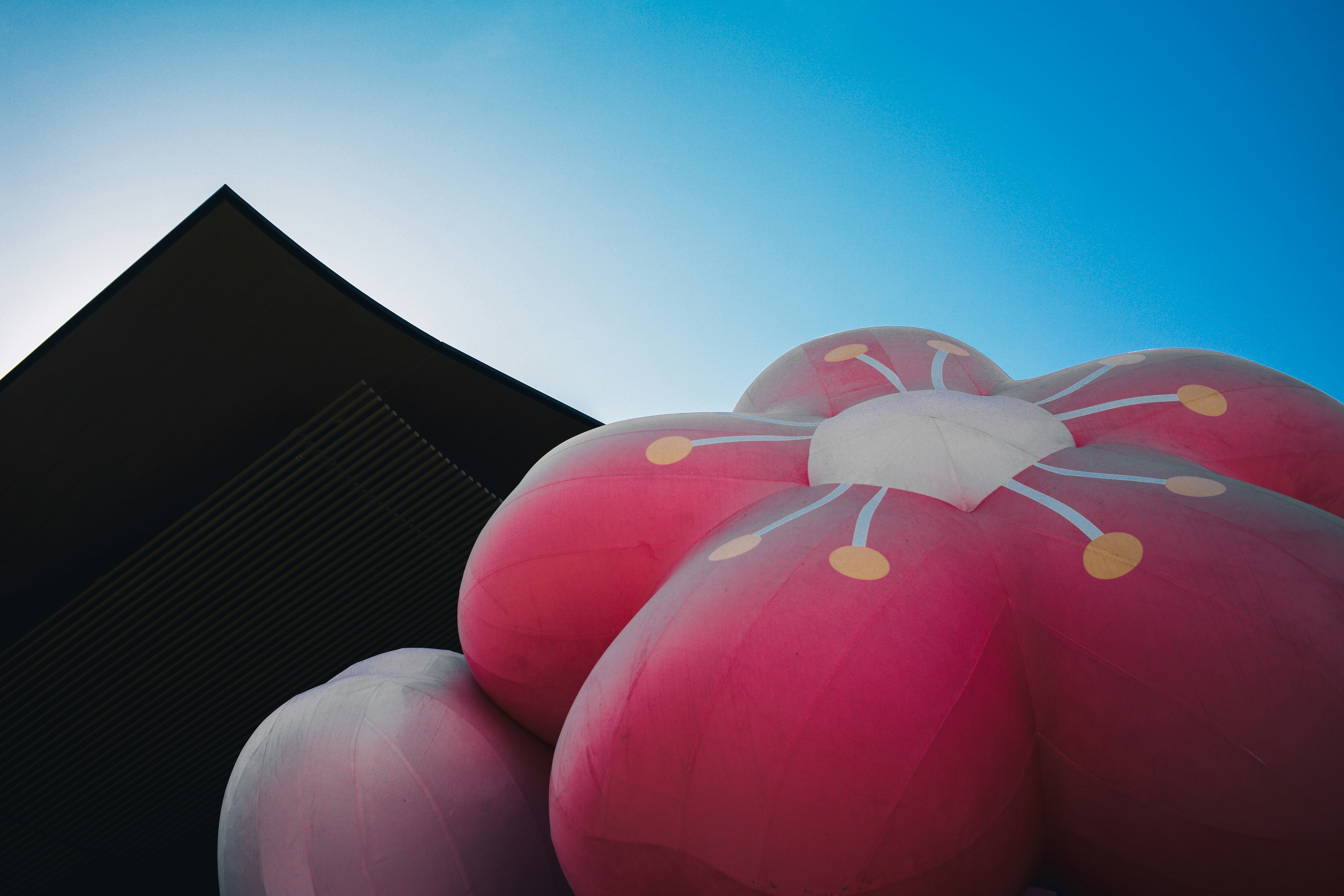 Oversized Pink Flower Balloon Against Modern Roof silhouette