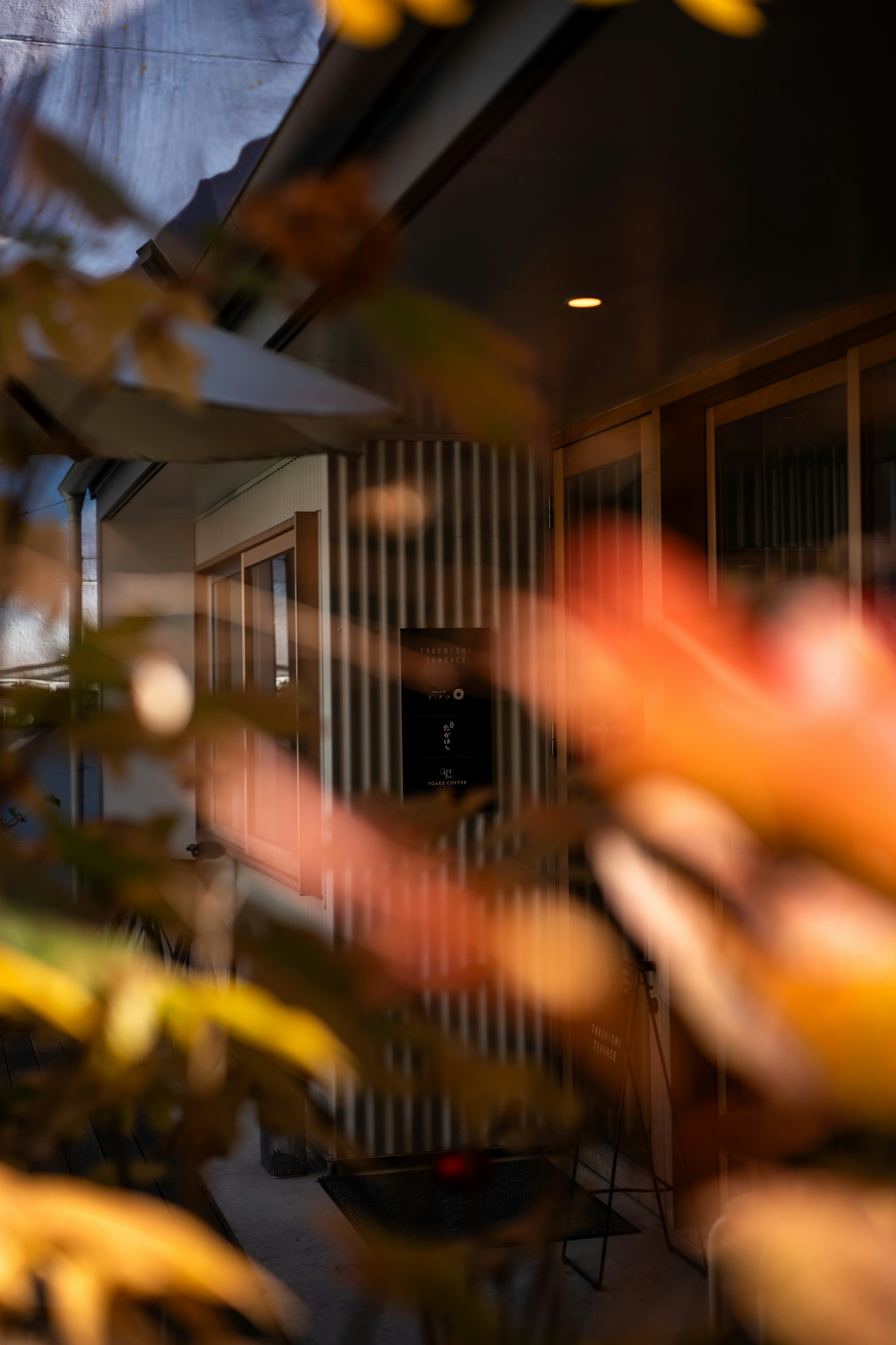 Autumnal Facade: Blurred Foliage Framing a Quiet Entrance