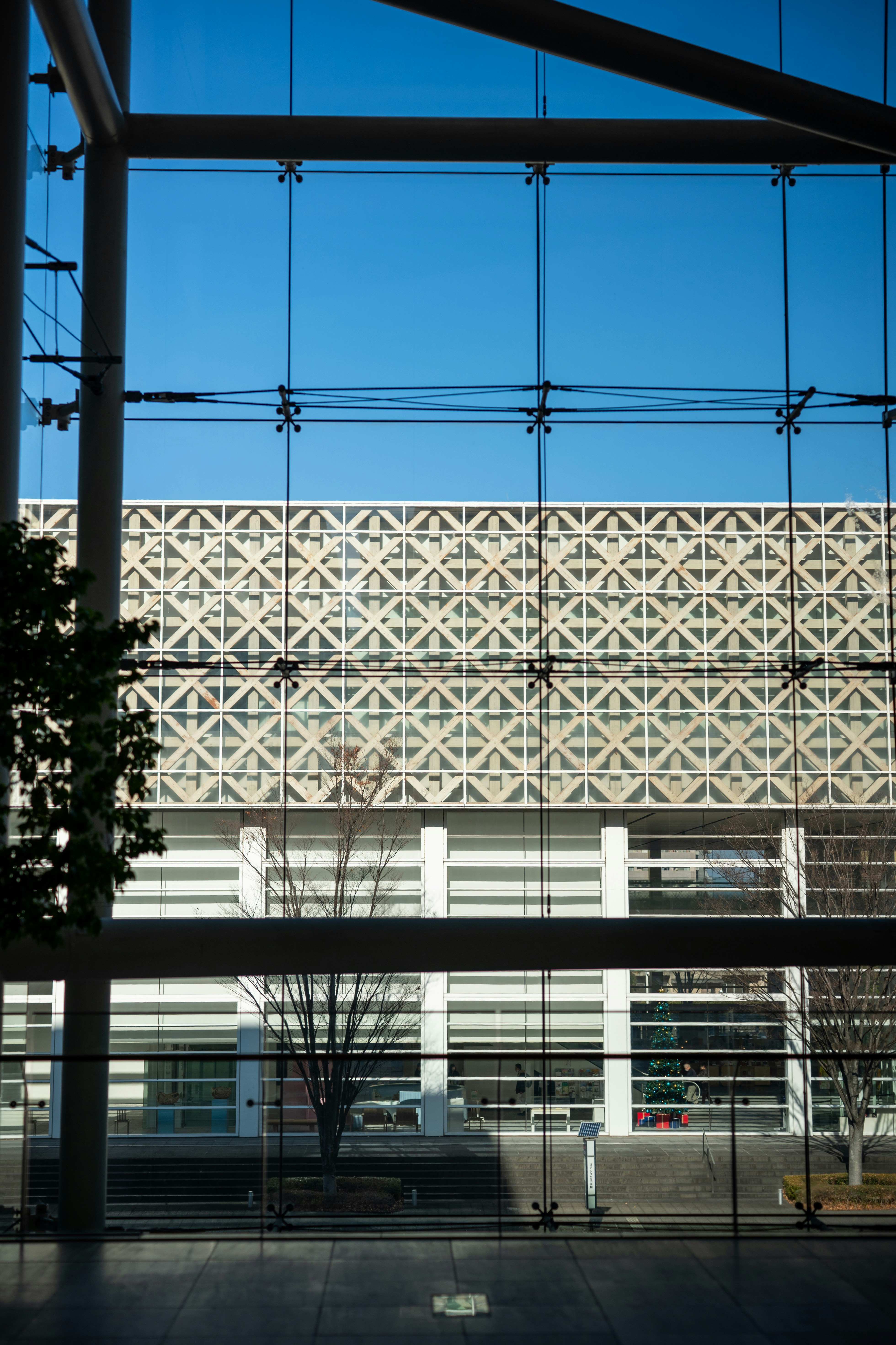Glass-and-Concrete Grid: A Geometric Window into a Modern Facade