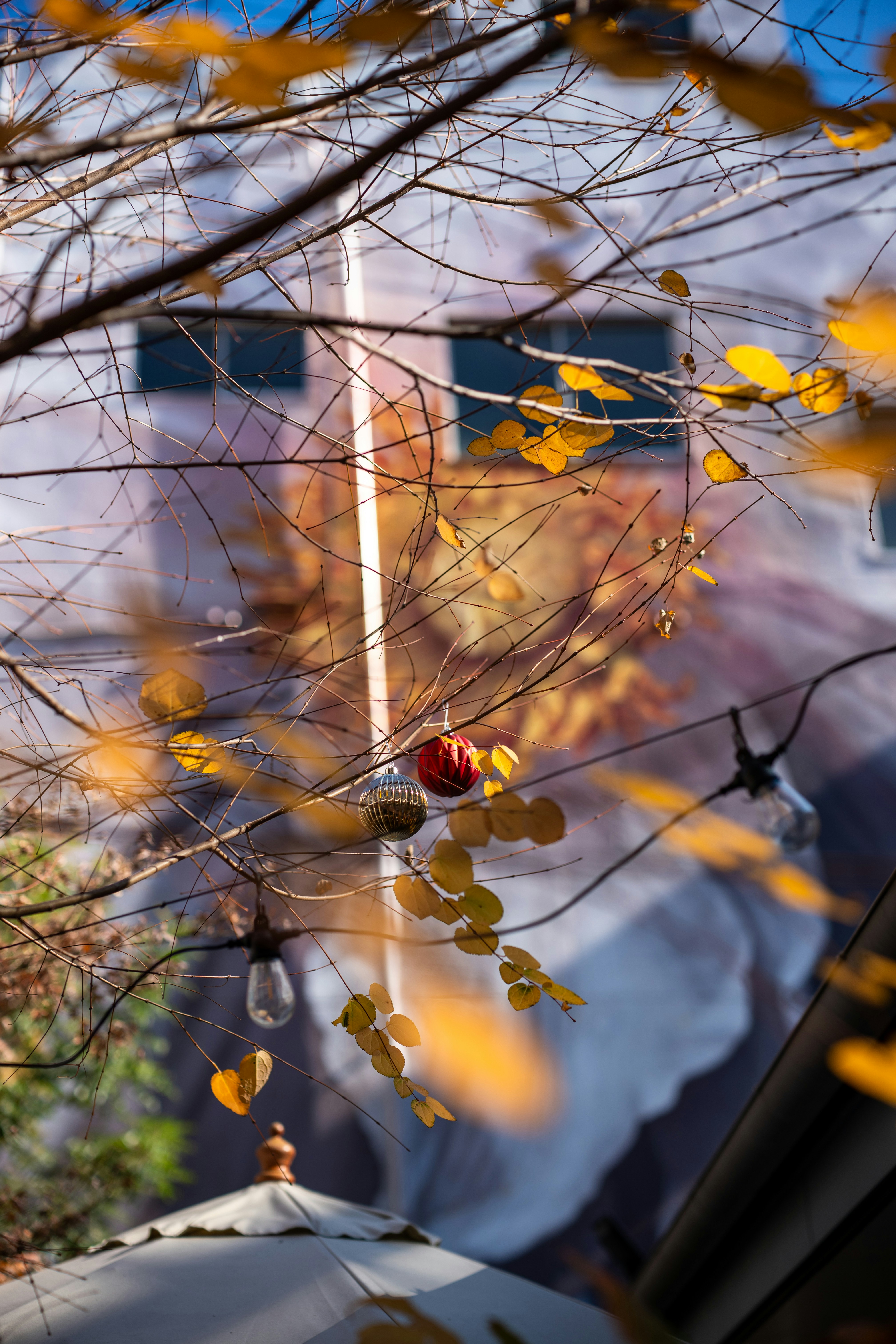 Photo by Kouji Tsuru with Nikon Z6 III