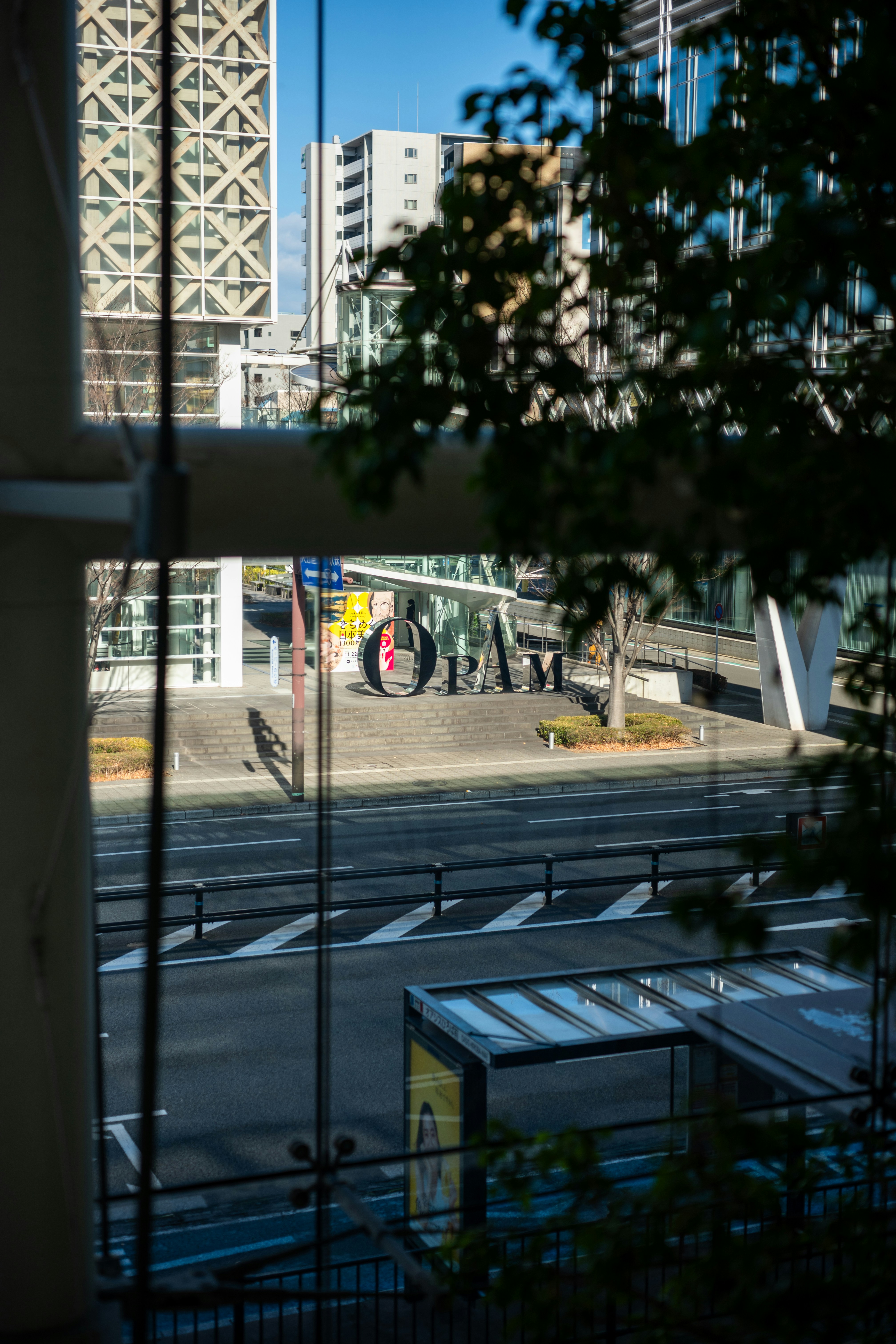 Urban Glass and Leaves: A Street Scene Framed by Foliage