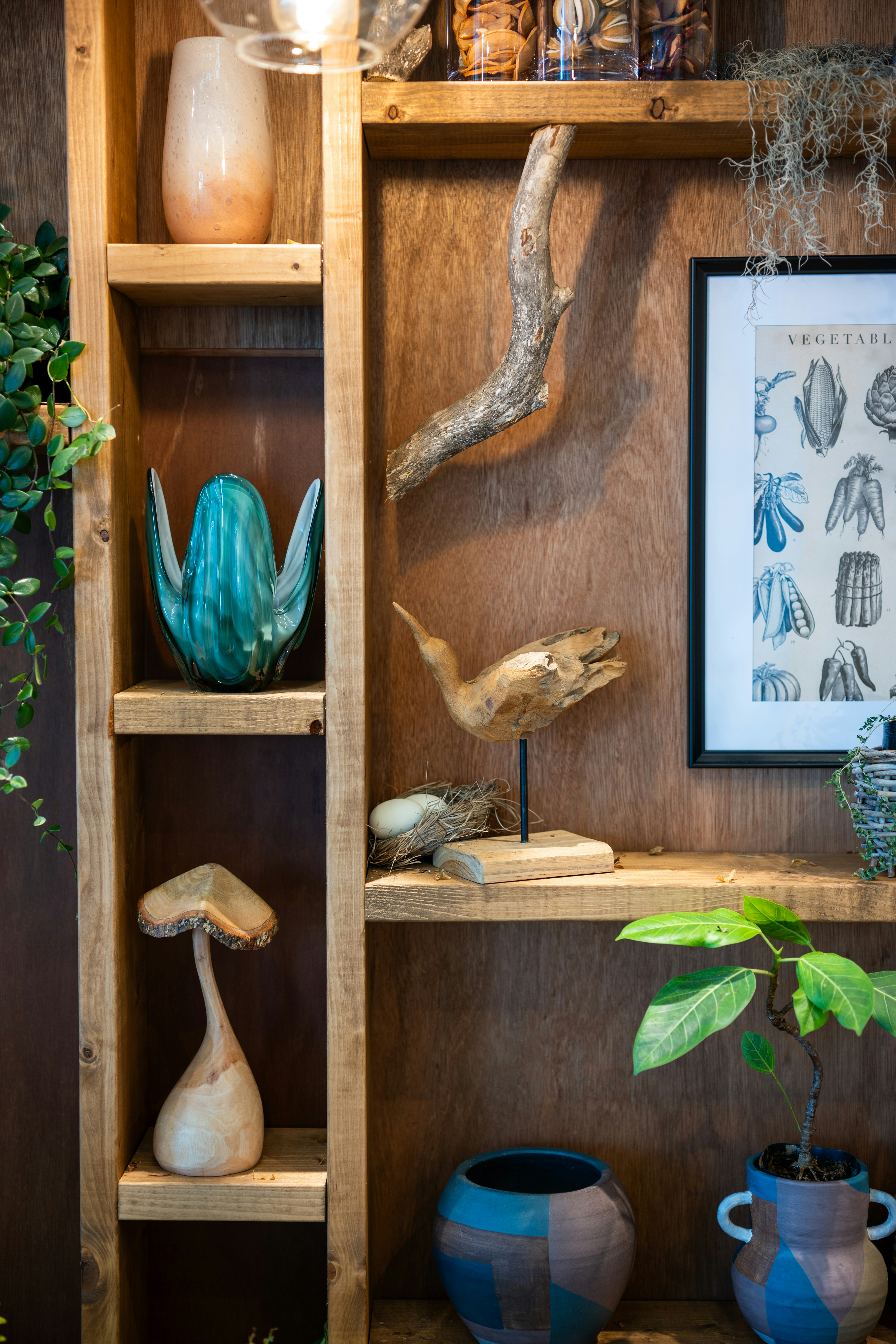 Eclectic Shelves: A Curio Cabinet of Wood, Ceramics, and Plant Life
