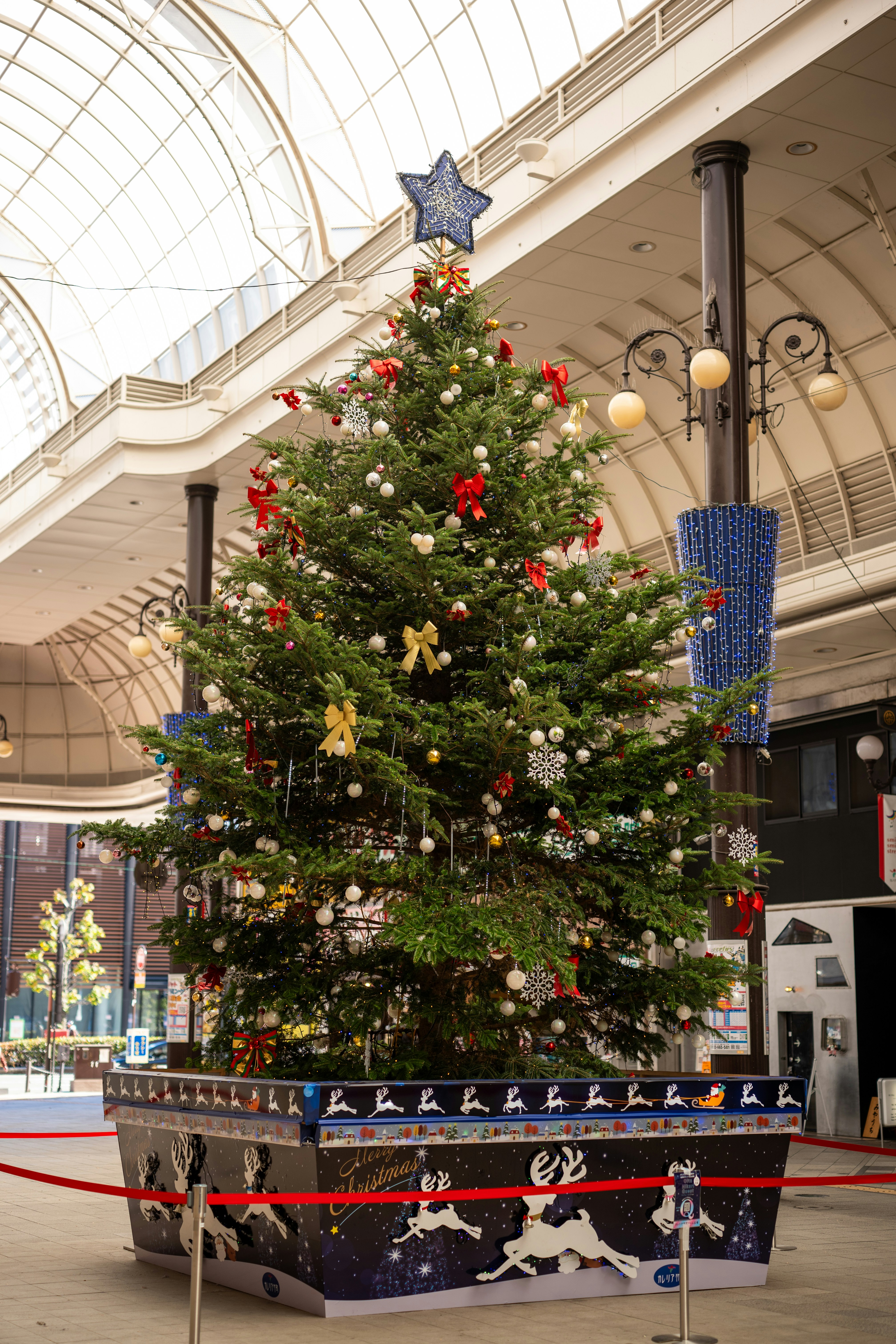A Luminary Christmas: Centerpiece Tree Framed by Arching Glass and Blue Ornament Columns